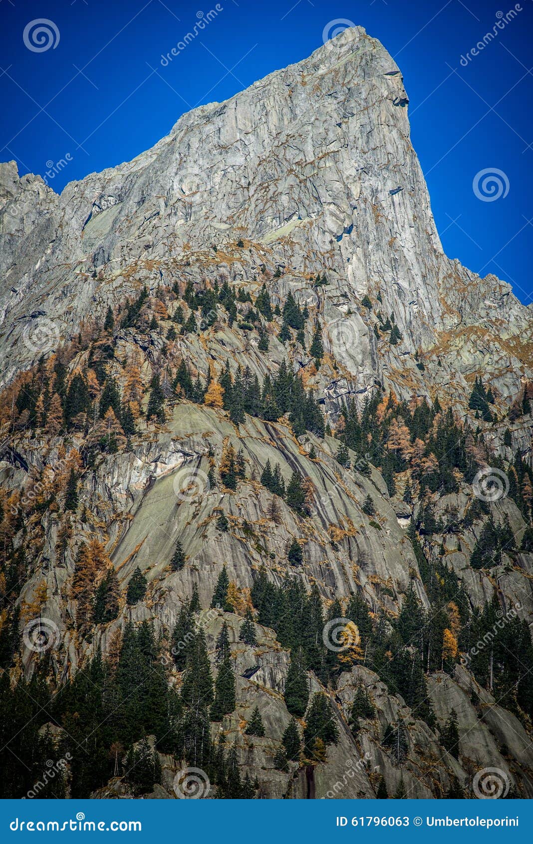 Pared Rocosa Vertical Valtelina Italia Imagen de archivo - Imagen de ...