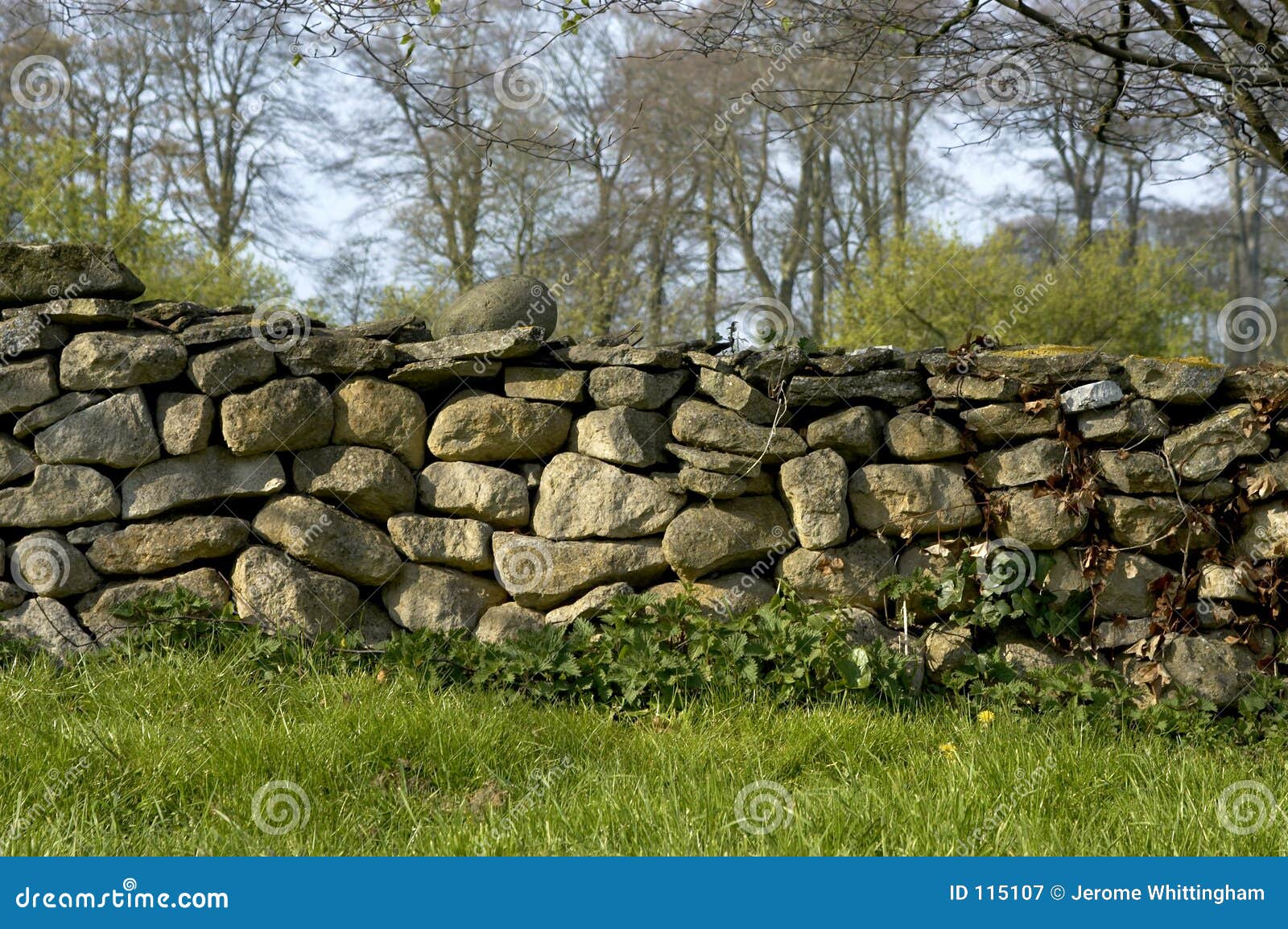 Pared seca imagen de archivo. Imagen de ortigas, rocas - 115107