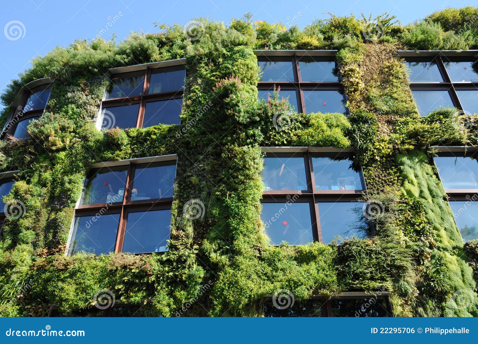 Pared verde foto de archivo. Imagen de cielo, edificio - 22295706