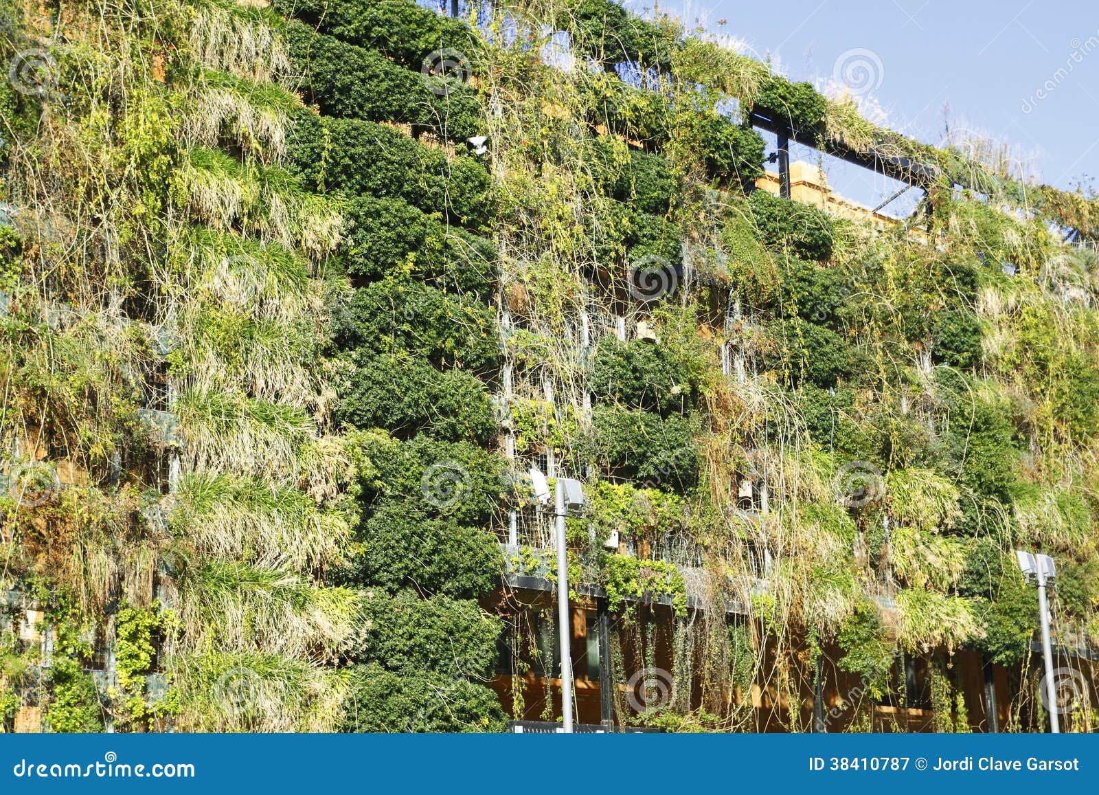 Pared verde imagen de archivo. Imagen de exterior, ambiental - 38410787