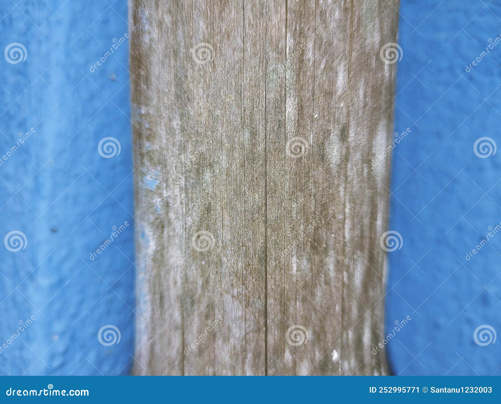 Parede De Fundo Azul De Bambu Imagem de Stock - Imagem de bambu, verde ...