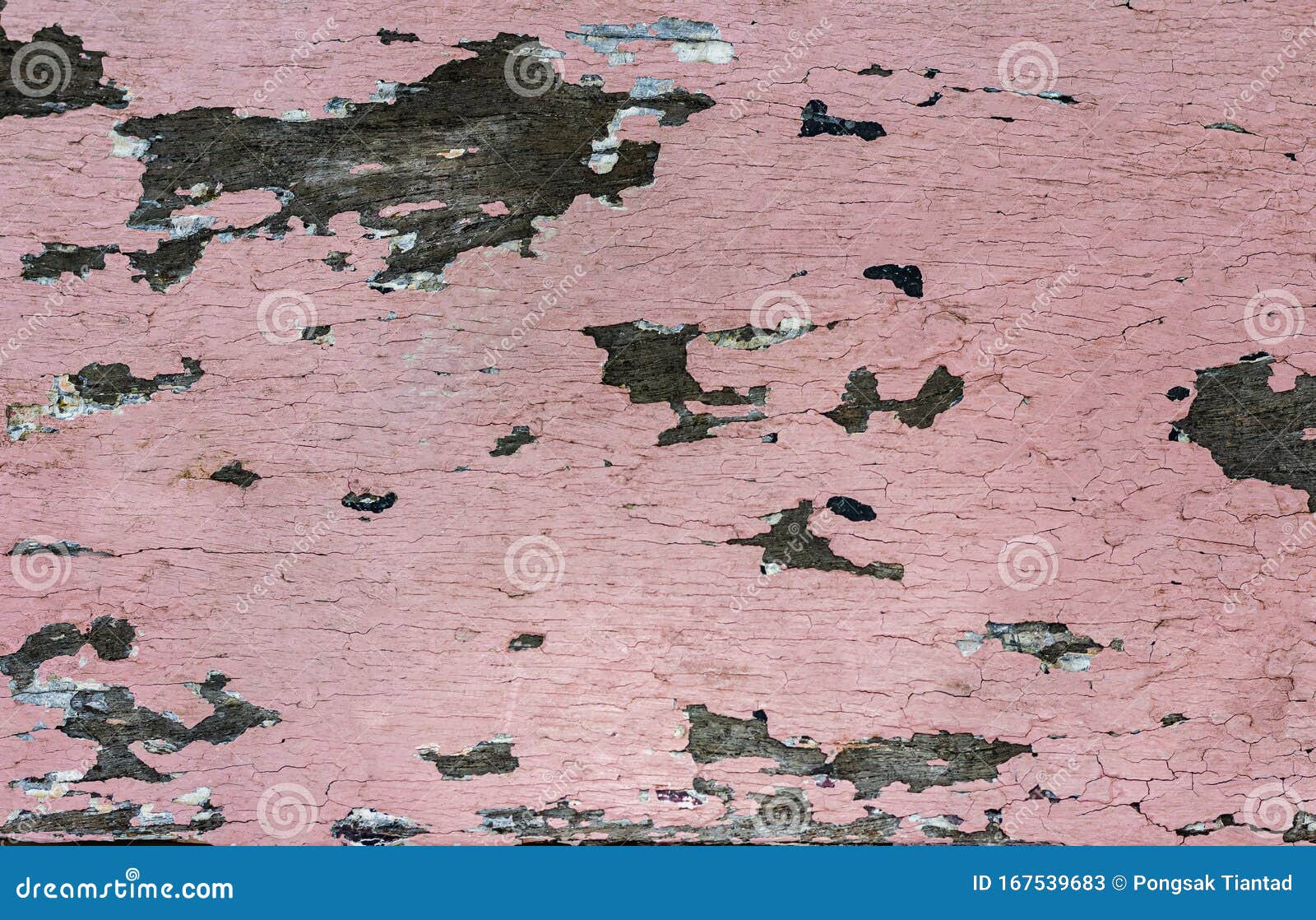 Parede De Madeira Velha Pintada a Rosa Texturas, Cores E Cracking De ...