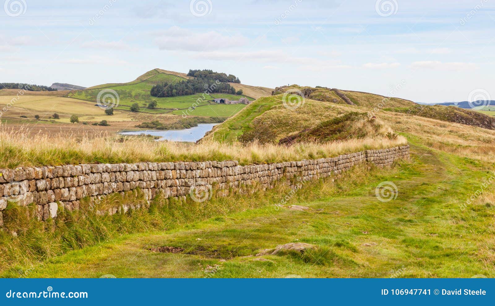 Parede Do ` S De Hadrian Em Northumberland Foto Editorial - Imagem de ...
