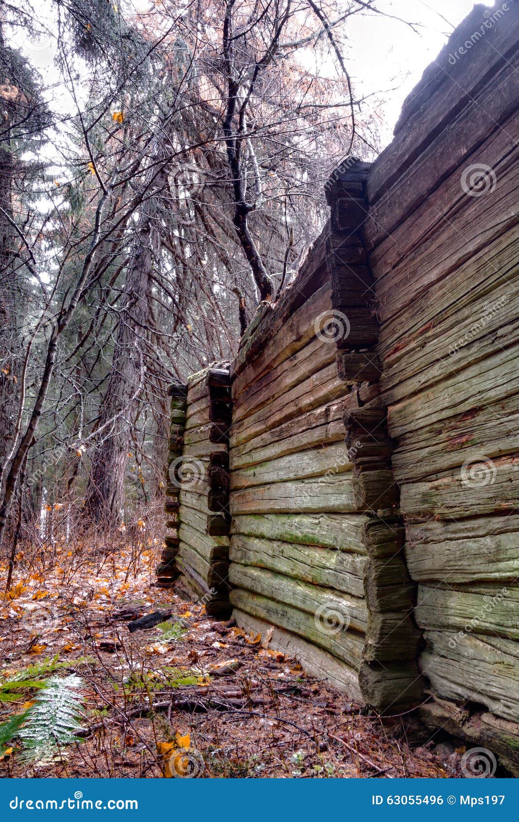 Parede Inclinada De Uma Barraca Velha Feita Dos Logs Foto de Stock ...