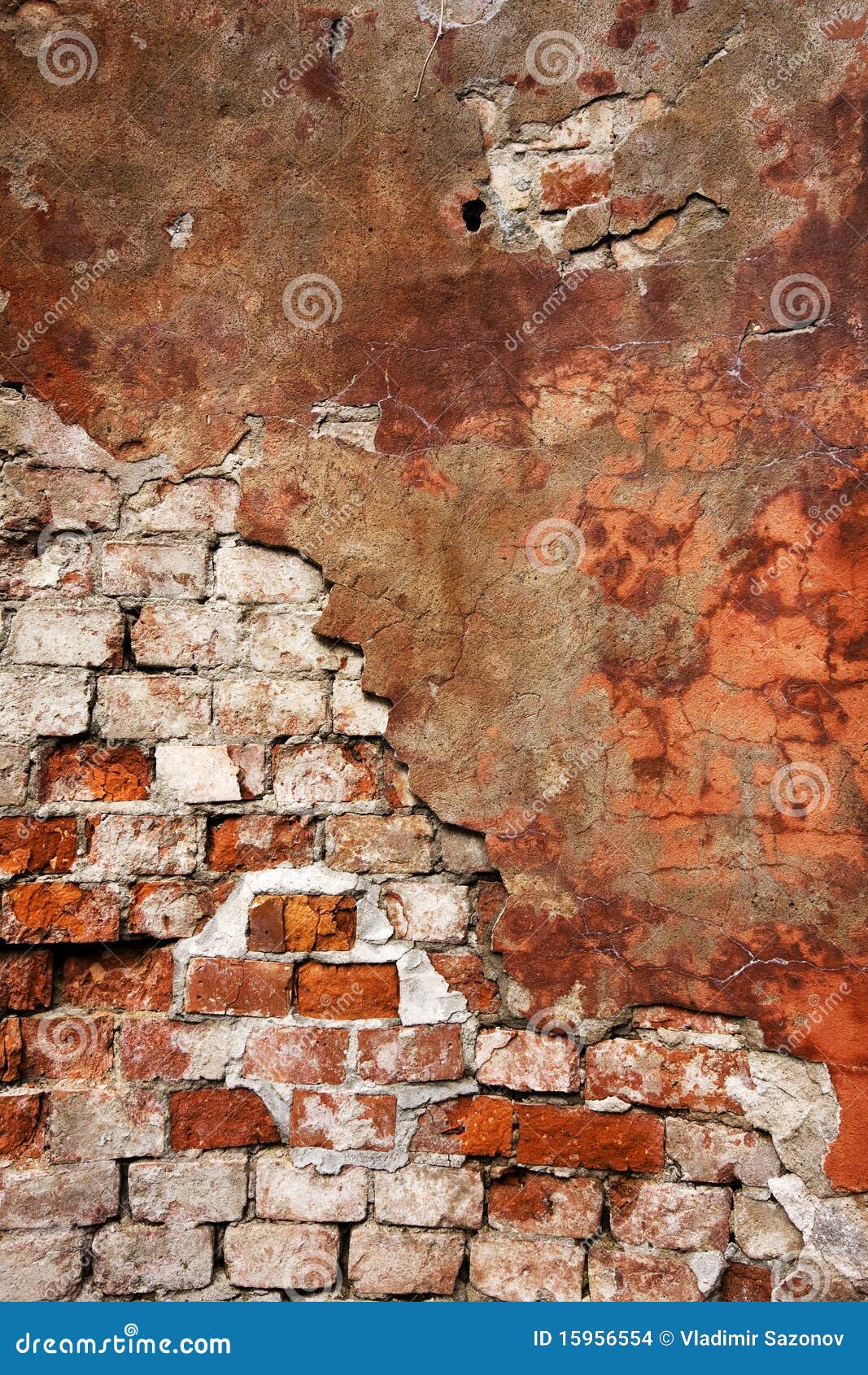 Parede Textured Com Tijolo E Estuque Foto de Stock - Imagem de fundos ...
