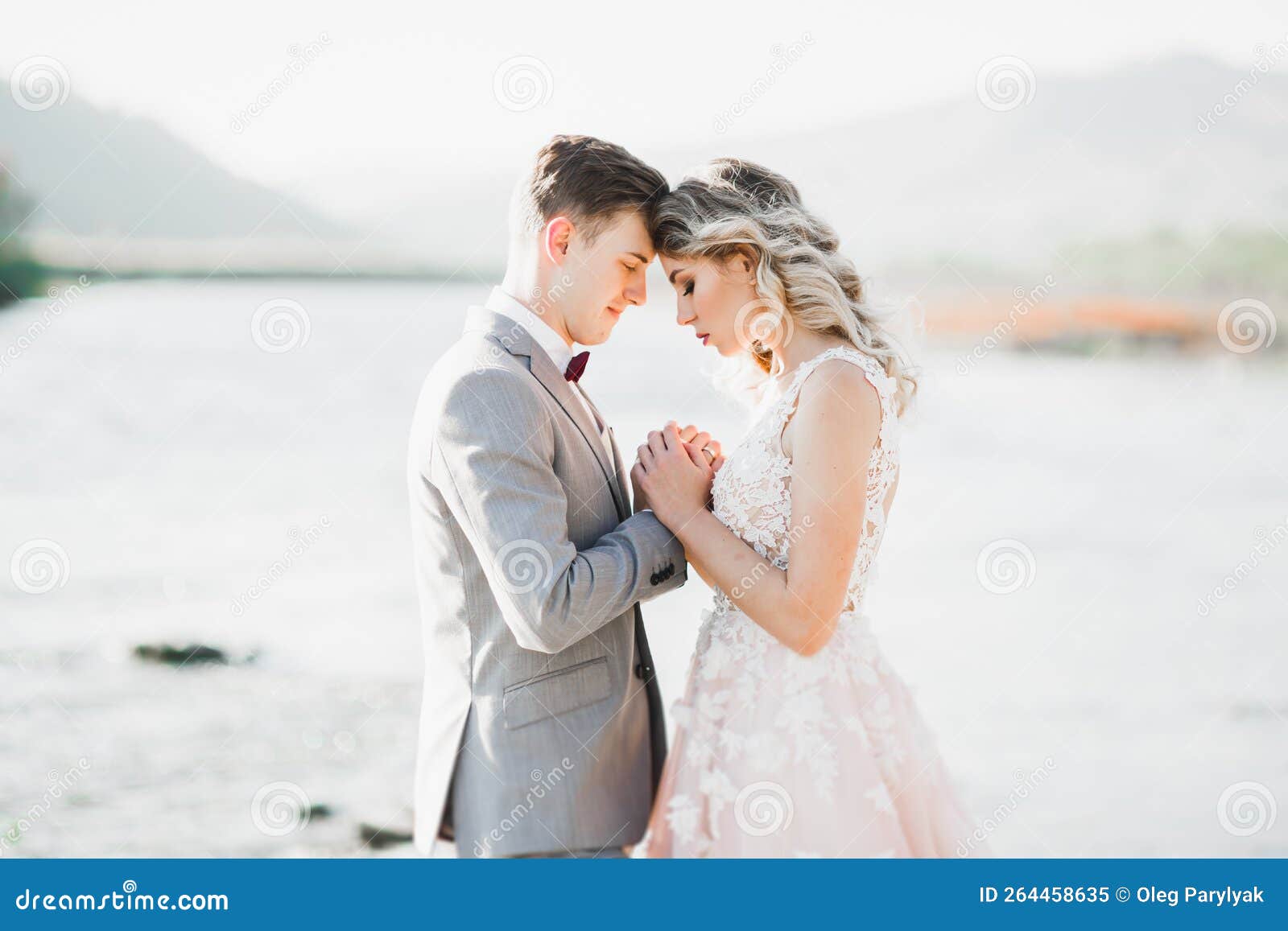 Pareja De Novios Novios Tomados De La Mano Imagen de archivo - Imagen ...