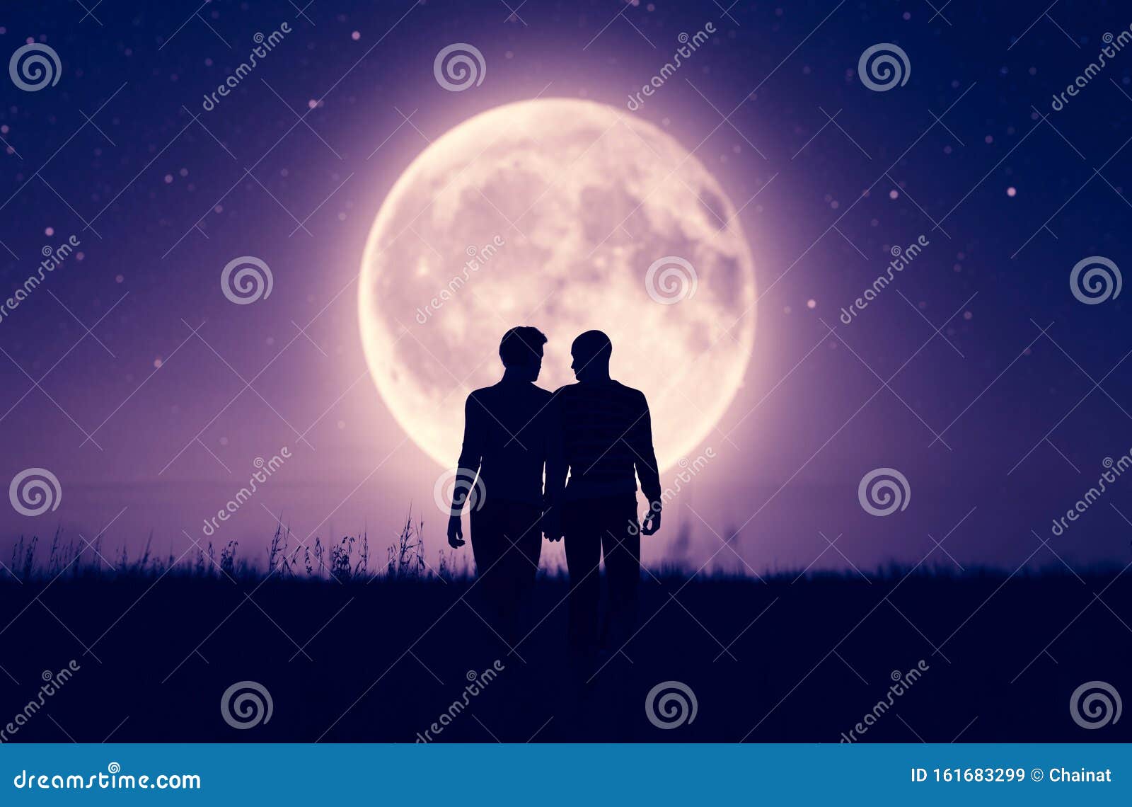 Parejas Gay Bajo La Luz De La Luna Stock De Ilustración Ilustración