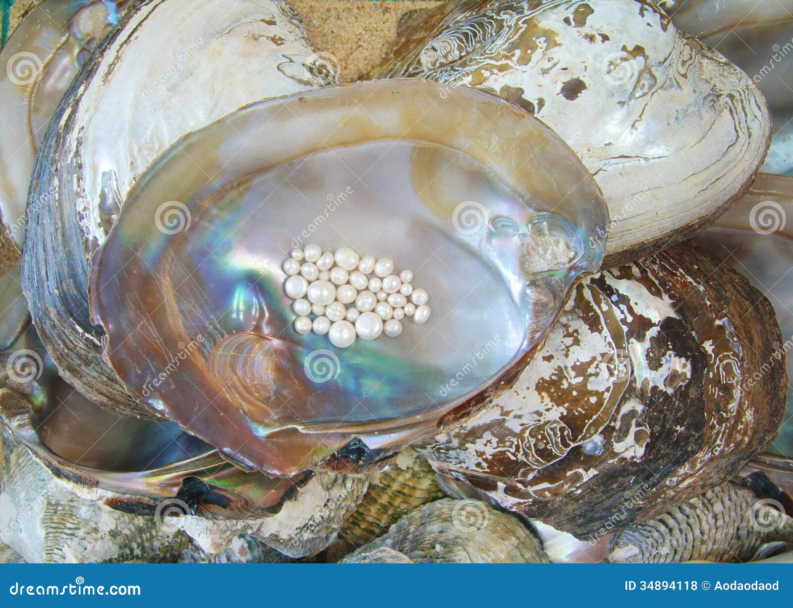 Parel met oester stock foto. Image of gloed, strand, duur - 34894118