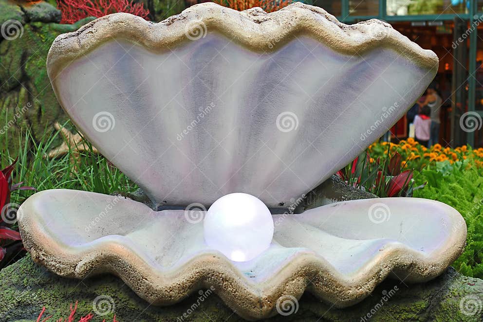 Parel in open oester redactionele stock afbeelding. Image of groot ...