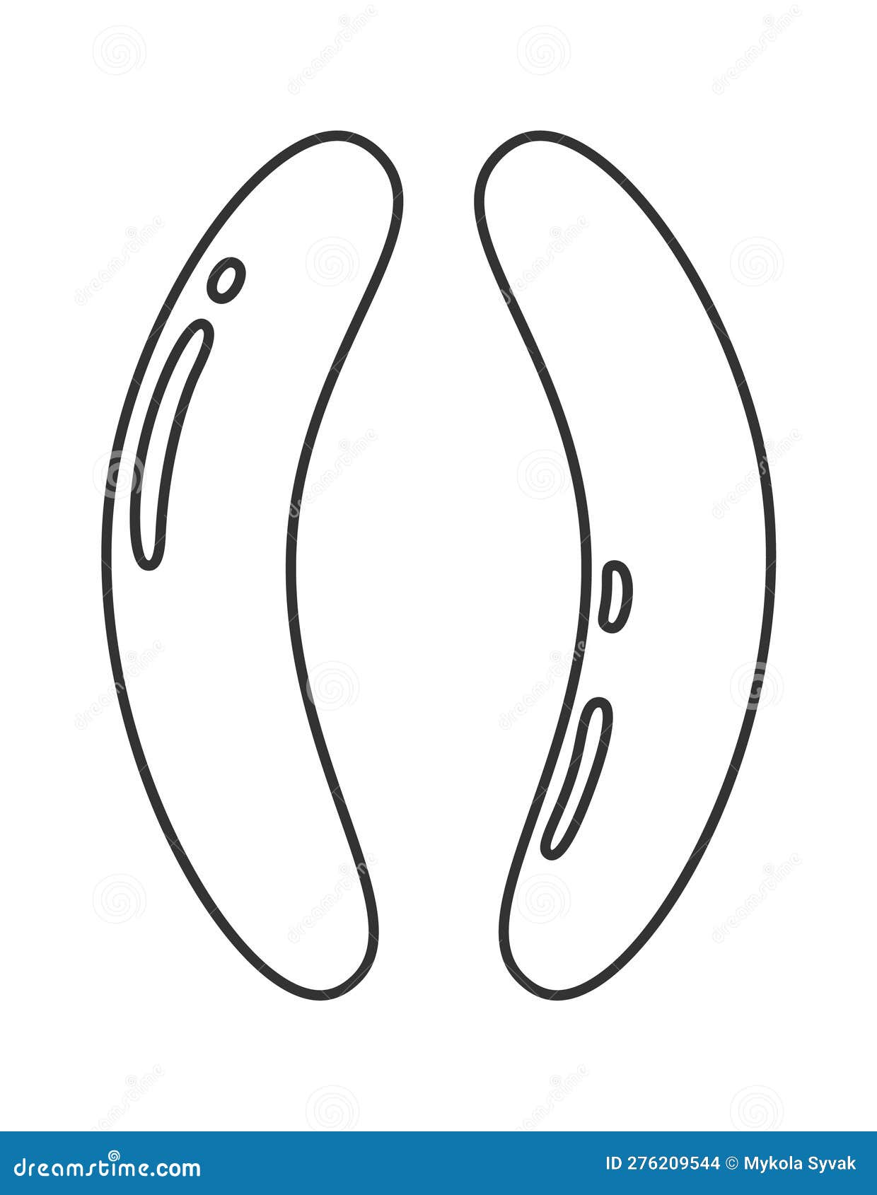 Parenthesis Bracket Symbol stock vector. Illustration of design - 276209544