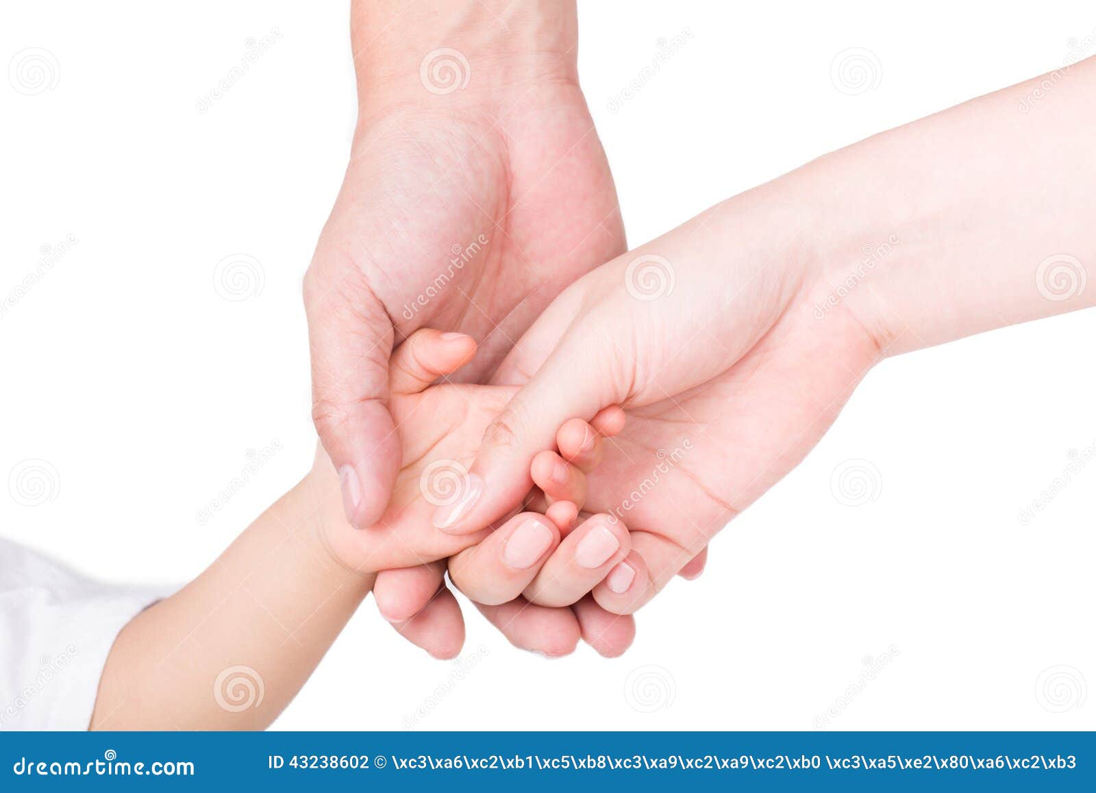 The Parents Hand Holding The Hands Of Children Isolated On White Stock ...