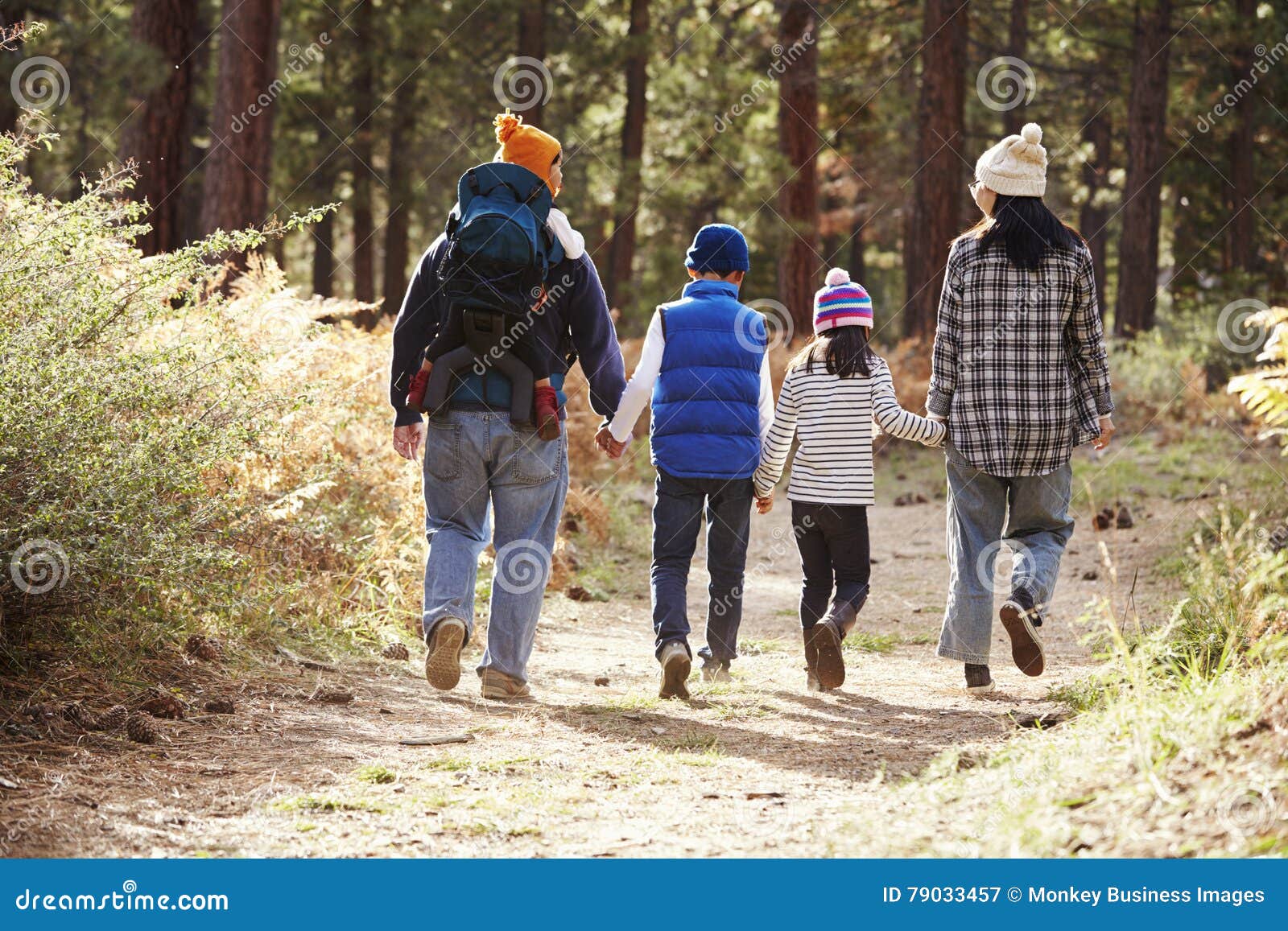 Parents and Three Children Walking in a Forest, Back View Stock Image ...