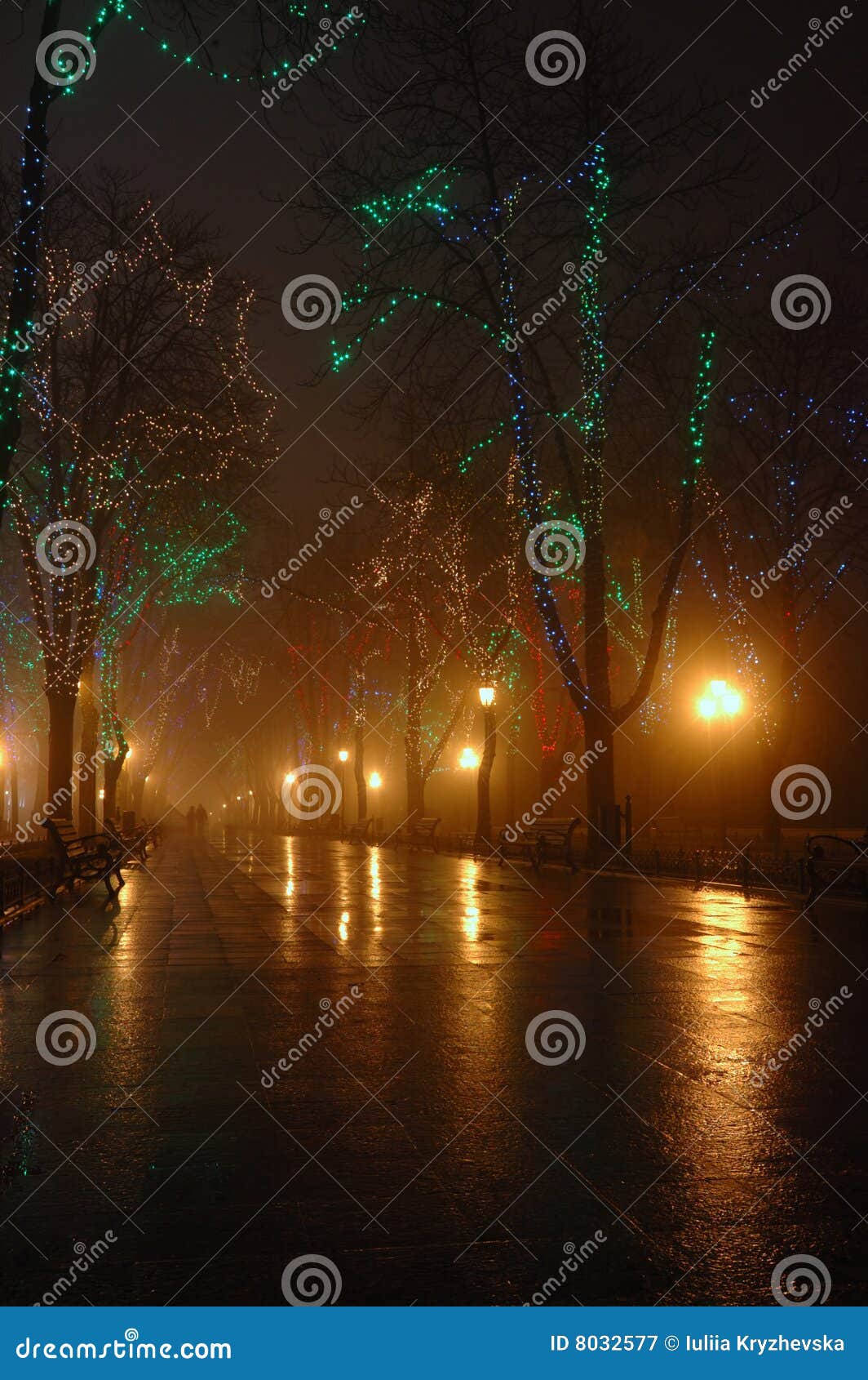 Pares en la noche brumosa imagen de archivo. Imagen de avenida - 8032577