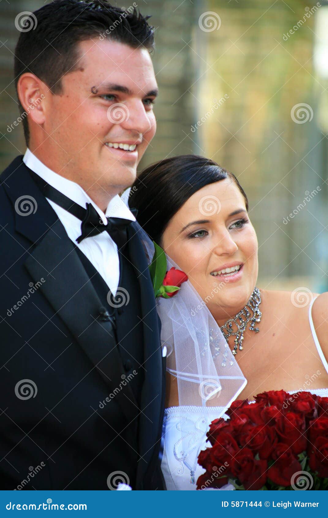 Pares Wedding - Weds Nuevamente Foto de archivo - Imagen de blanco ...