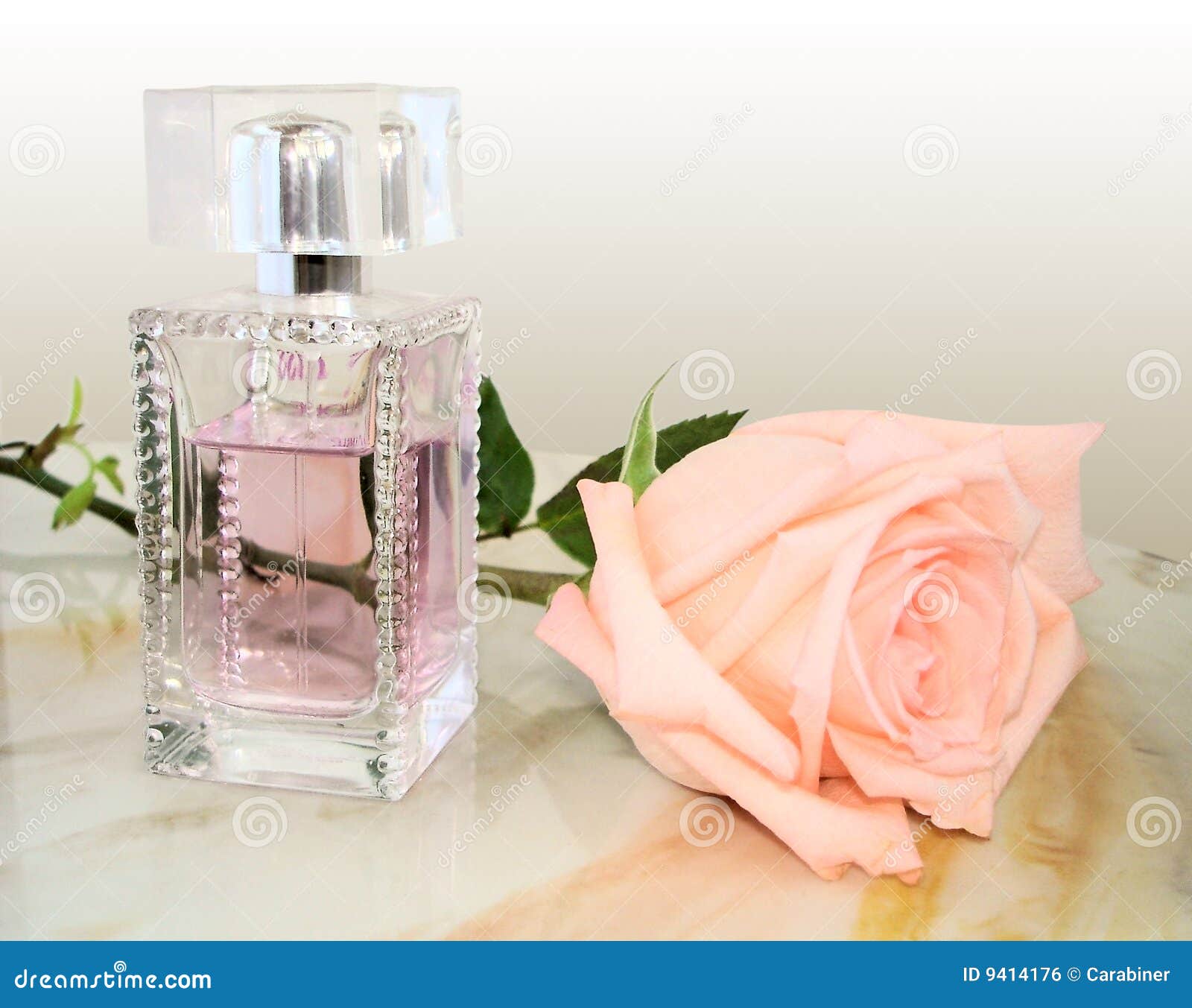 Parfums en bloemrozen stock foto. Image of parfums, glas - 9414176