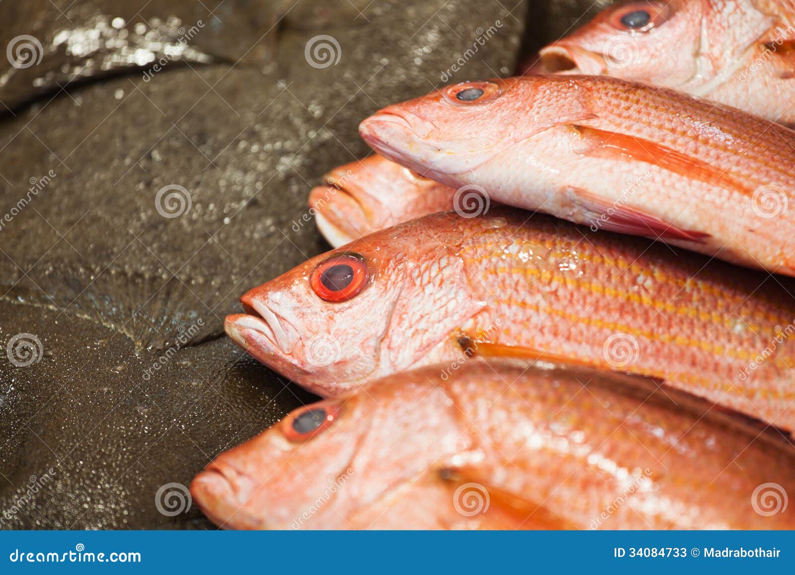 Pargo rojo imagen de archivo. Imagen de mariscos, fila - 34084733