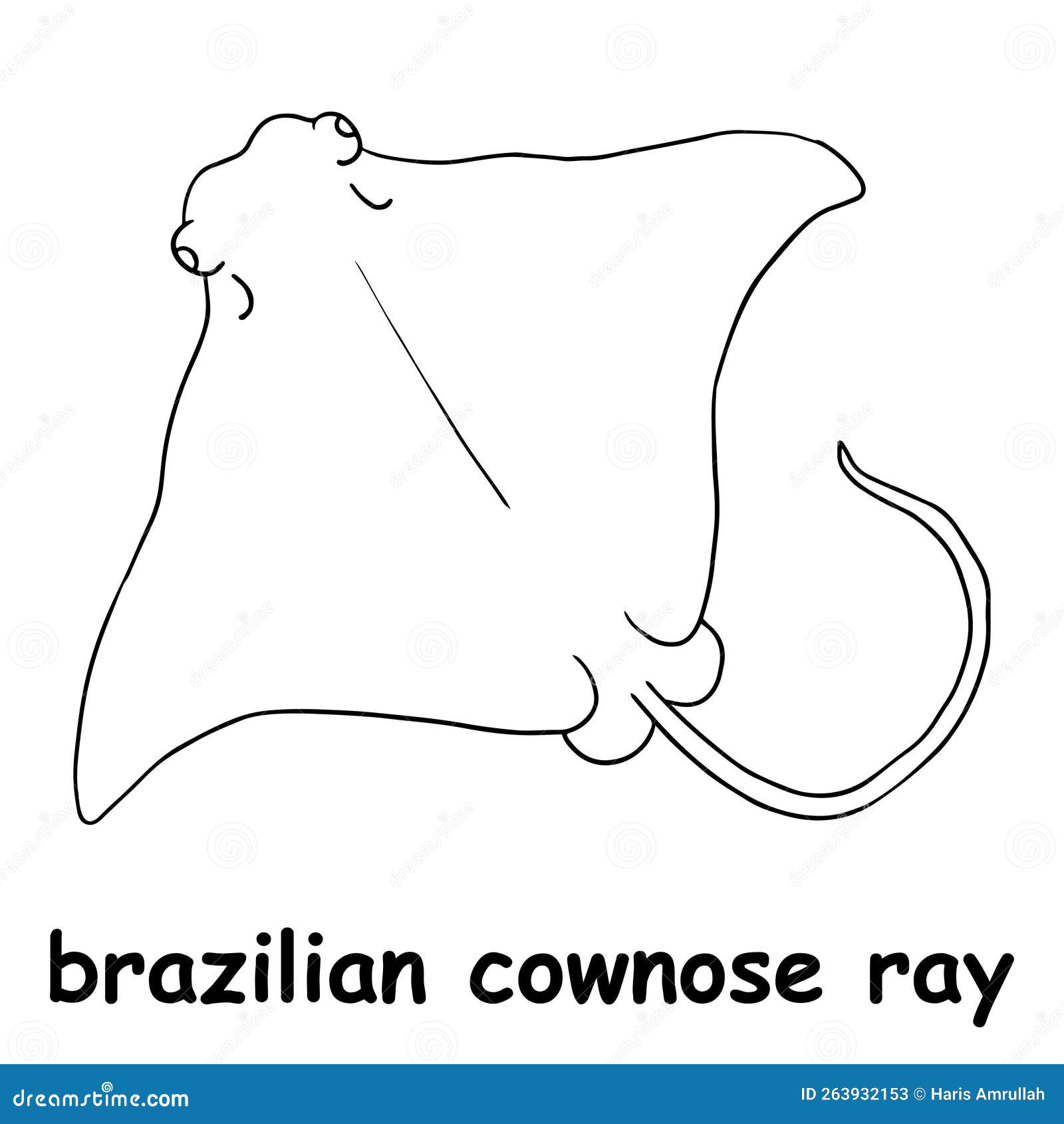 Kids Line Illustration Coloring Brazilian Cownose Ray. Animal Are Just ...