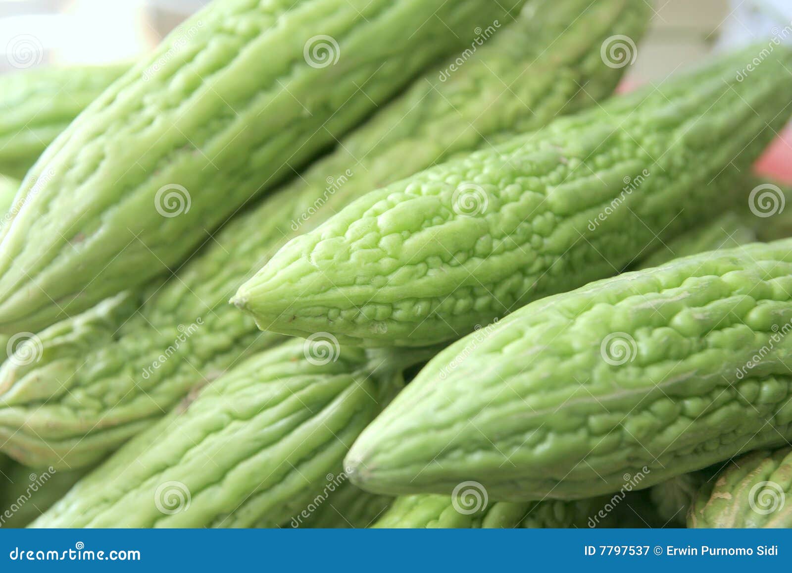Paria Fruit or Bitter Melon Stock Image - Image of cucurbitaceae ...