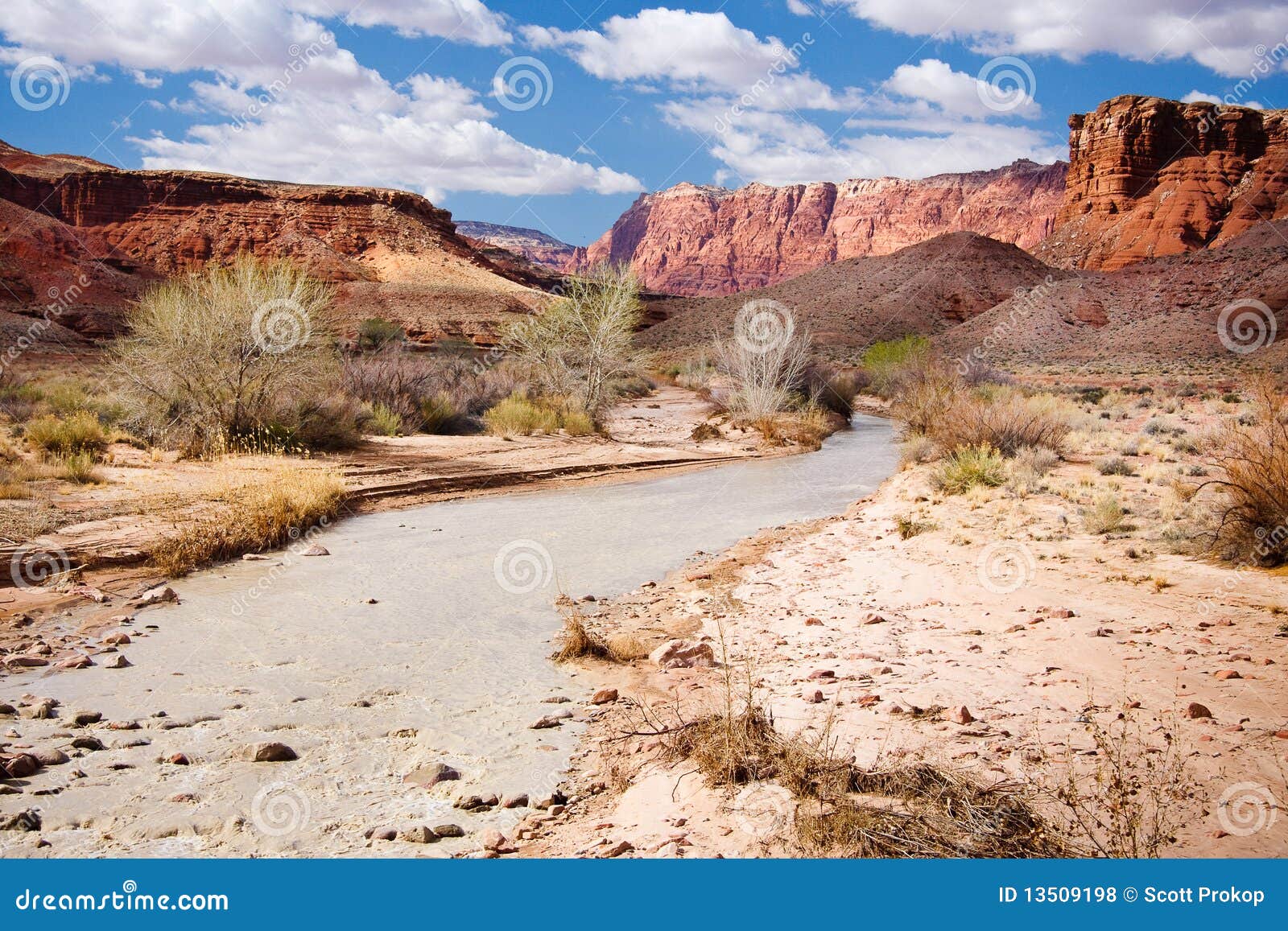 Paria River and Vermillion Cliffs in Arizona Stock Photo - Image of ...