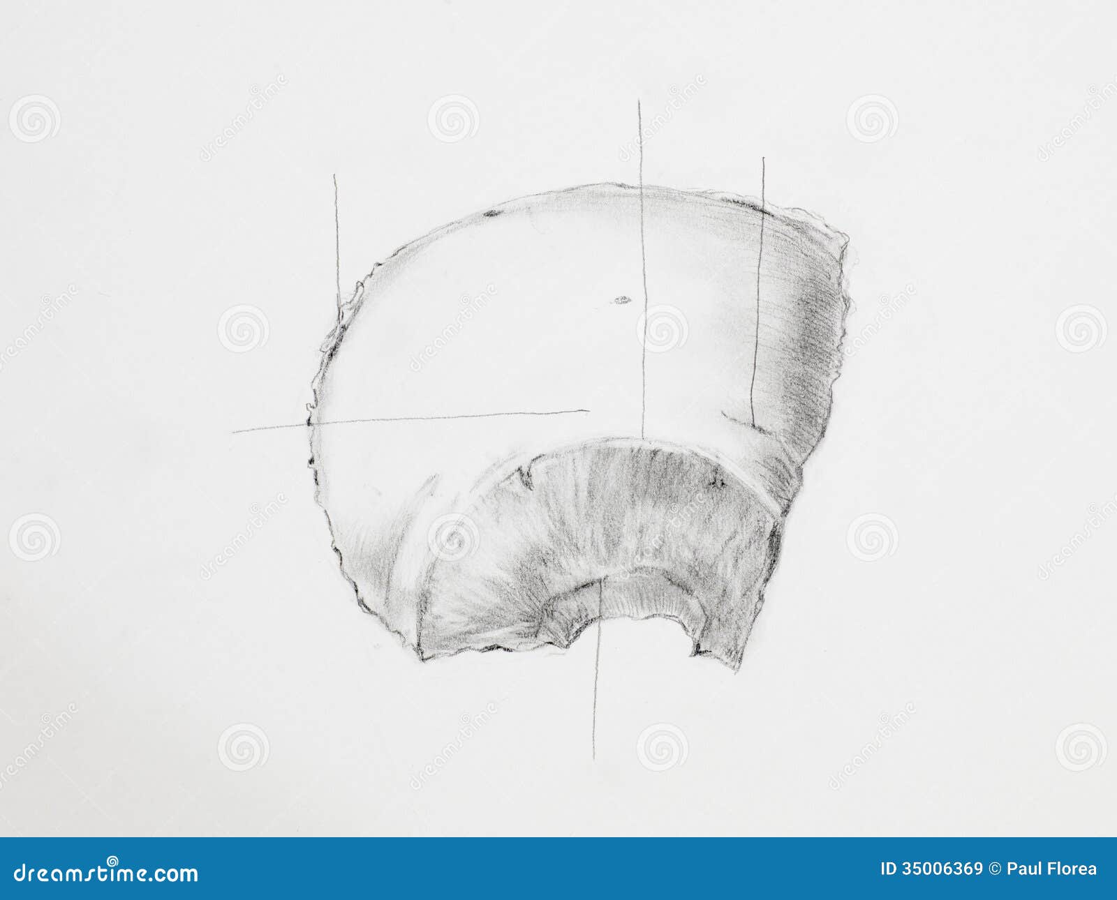 Parietal Bones Pencil Drawing Stock Image - Image of tuberosity, skull ...