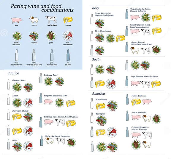 Paring Wine and Food Combinations Vector Set Stock Illustration ...