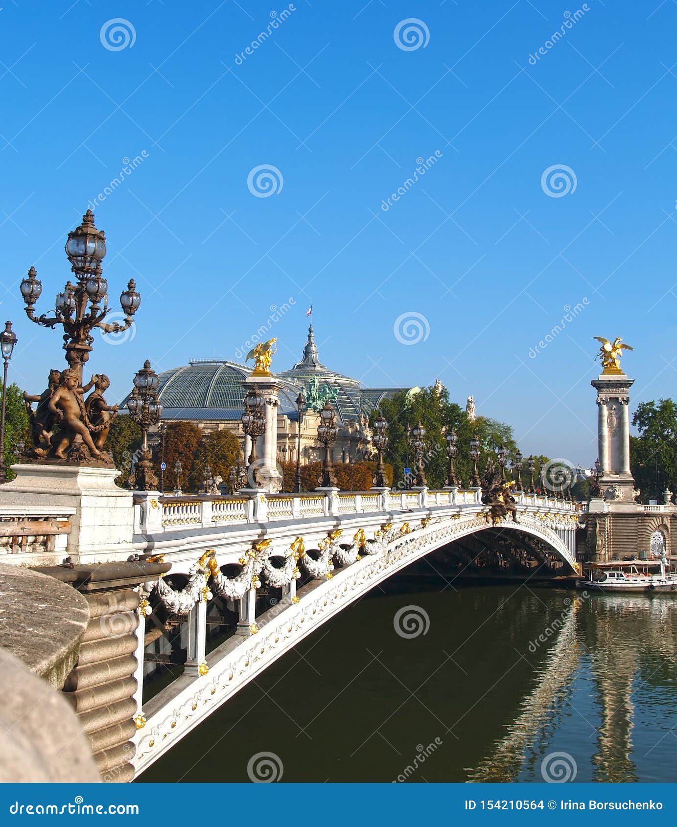 Paris. Alexander III Bridge through the Seine River Stock Photo - Image ...