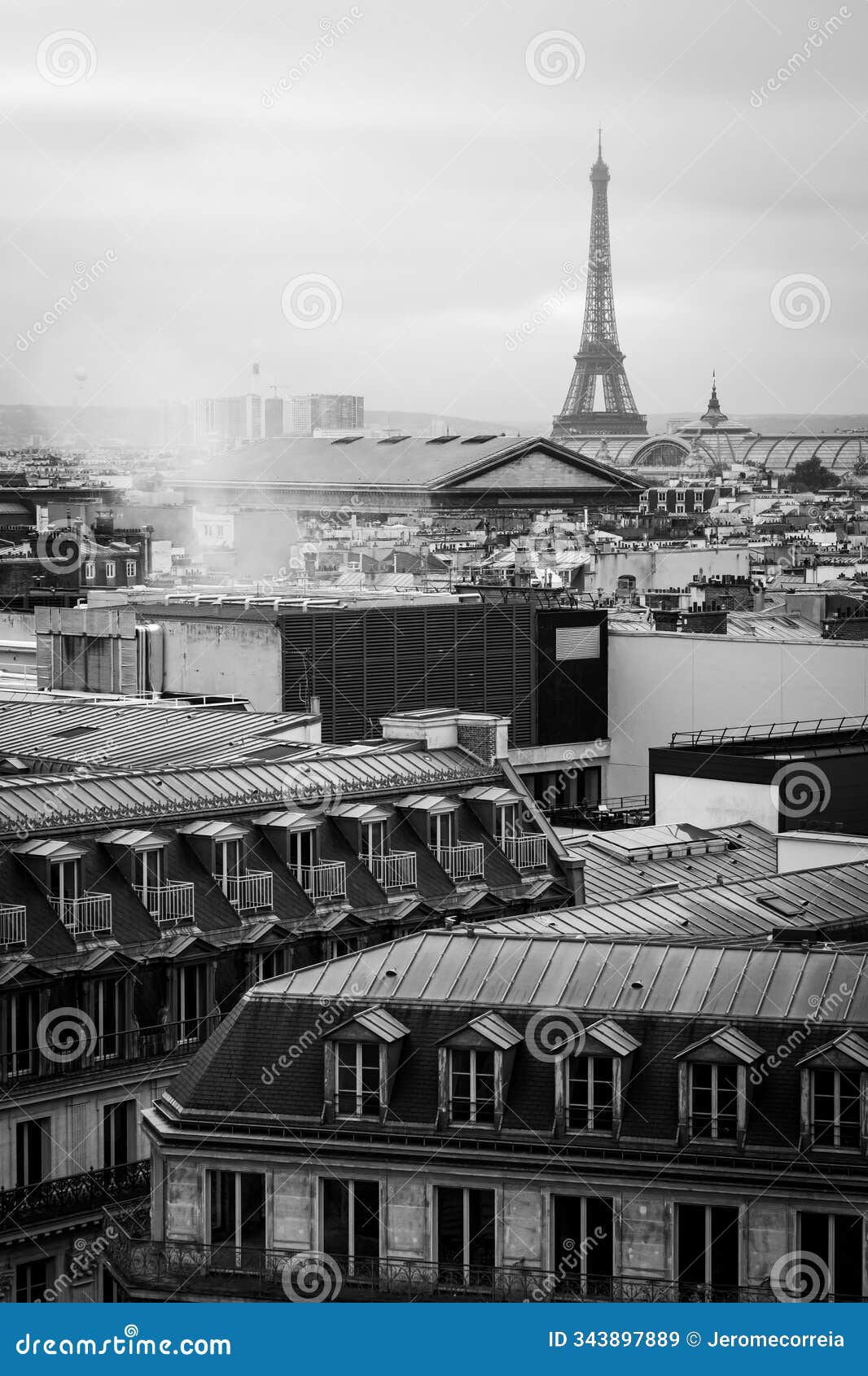 Paris in Black and White from the Rooftop of the Galeries Lafayette 1 ...