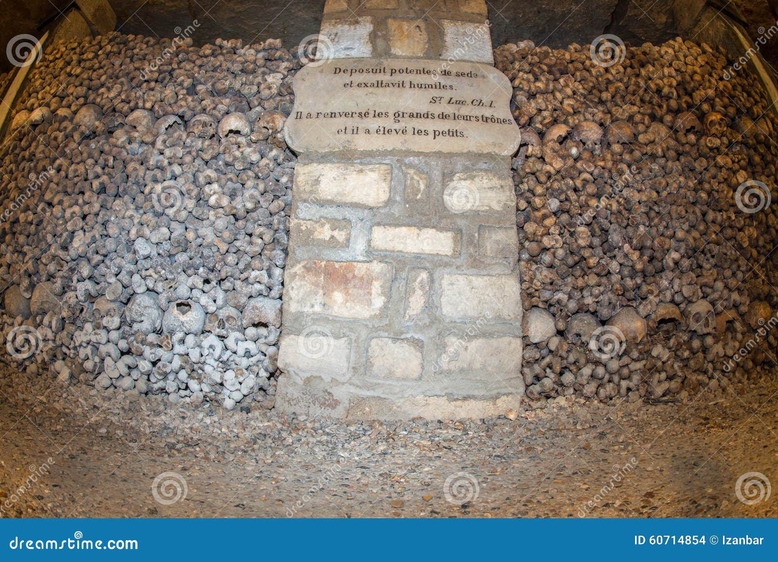 Paris Catacombs Skulls and Bones Editorial Stock Image - Image of life ...