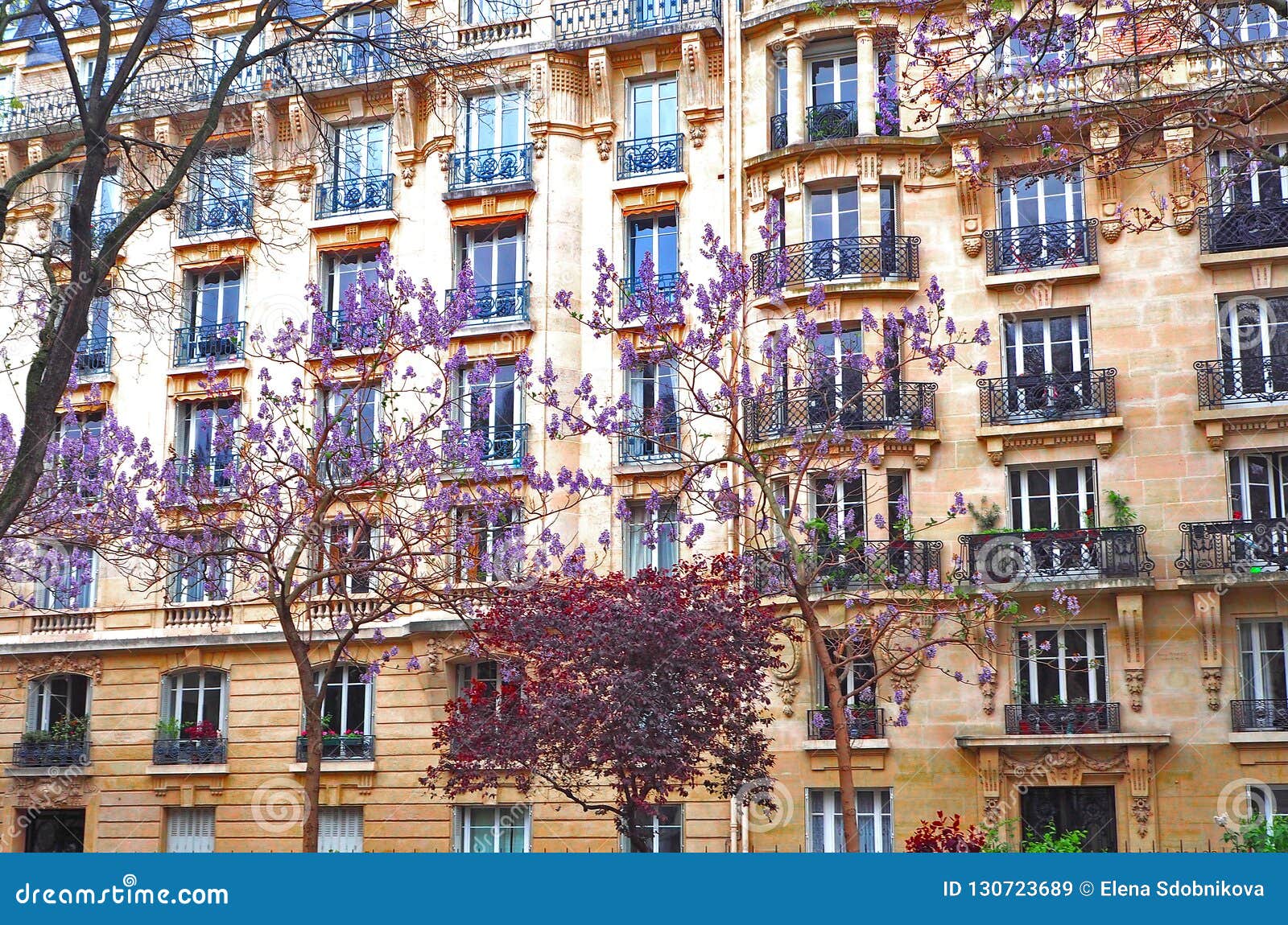 Paris. the Facade of a Typical House with Trees, Wisteria in the ...