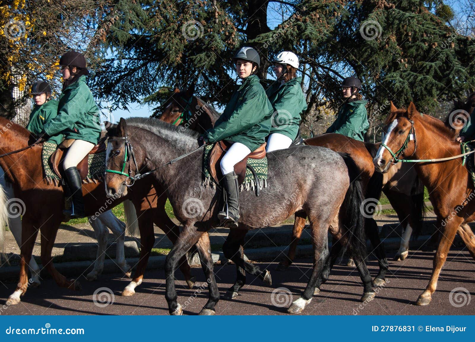 Paris horse parade editorial photo. Image of coach, hand - 27876831