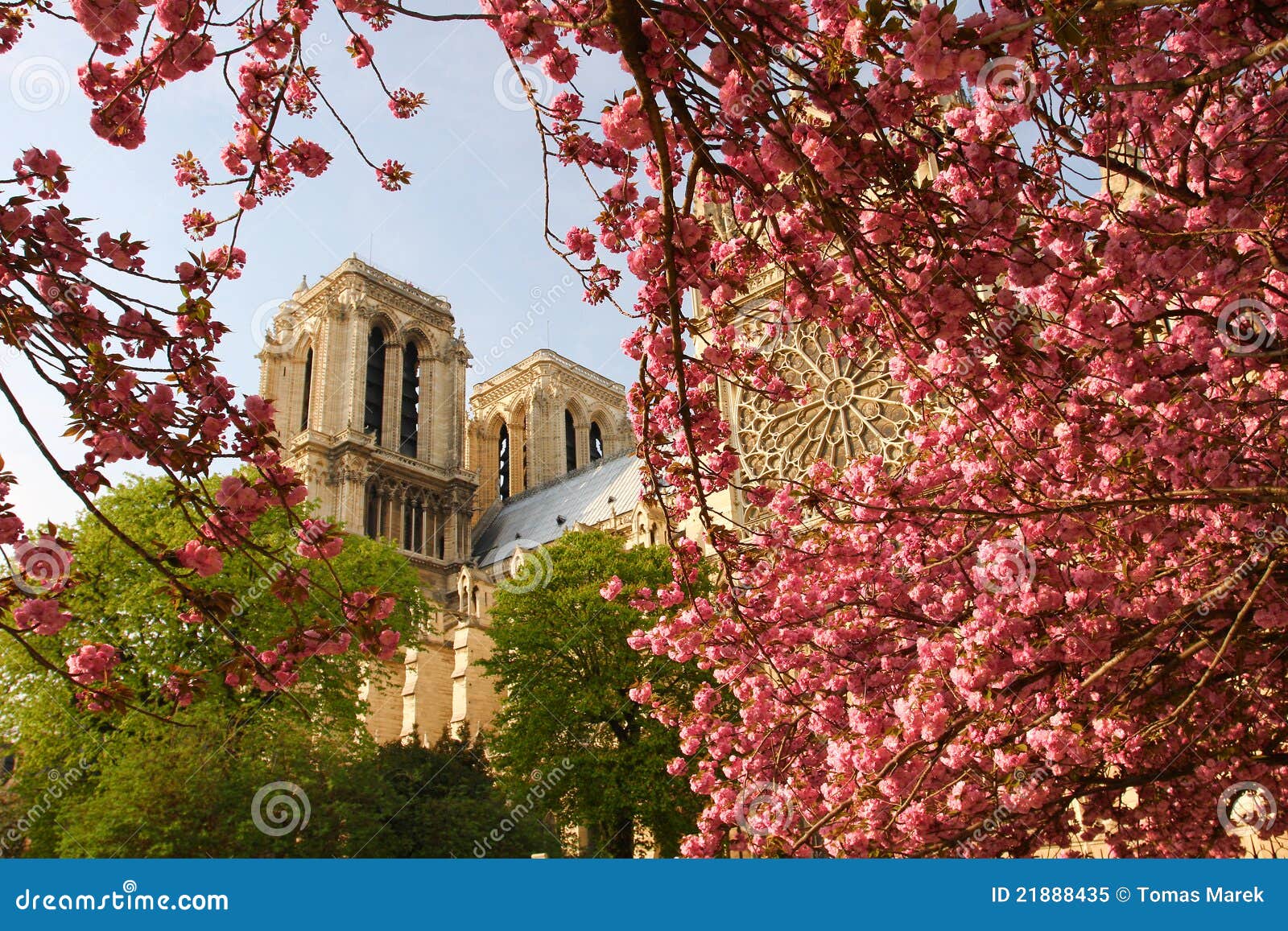 Paris, Notre Dame Cathedral in Spring Time Stock Image - Image of paris ...