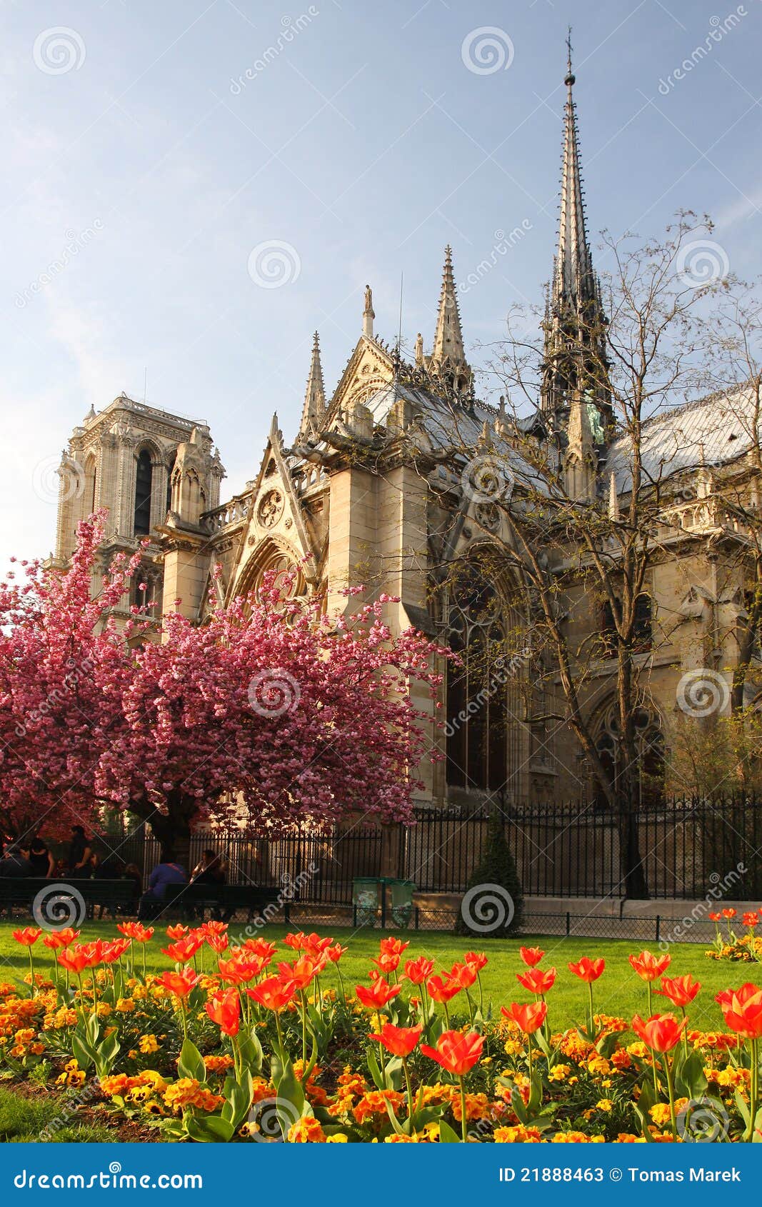 Paris, Notre Dame Cathedral in Spring Time Stock Image - Image of ...