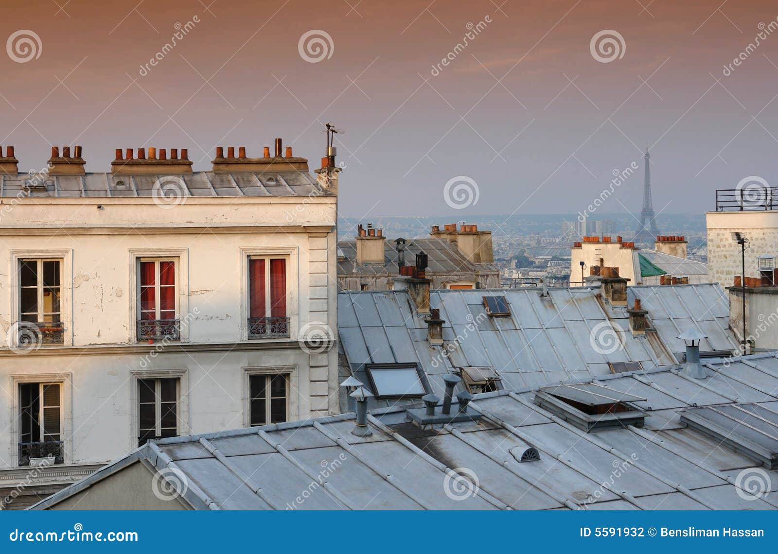 Paris Roof and Eiffel Tower Stock Photo - Image of urban, bridge: 5591932