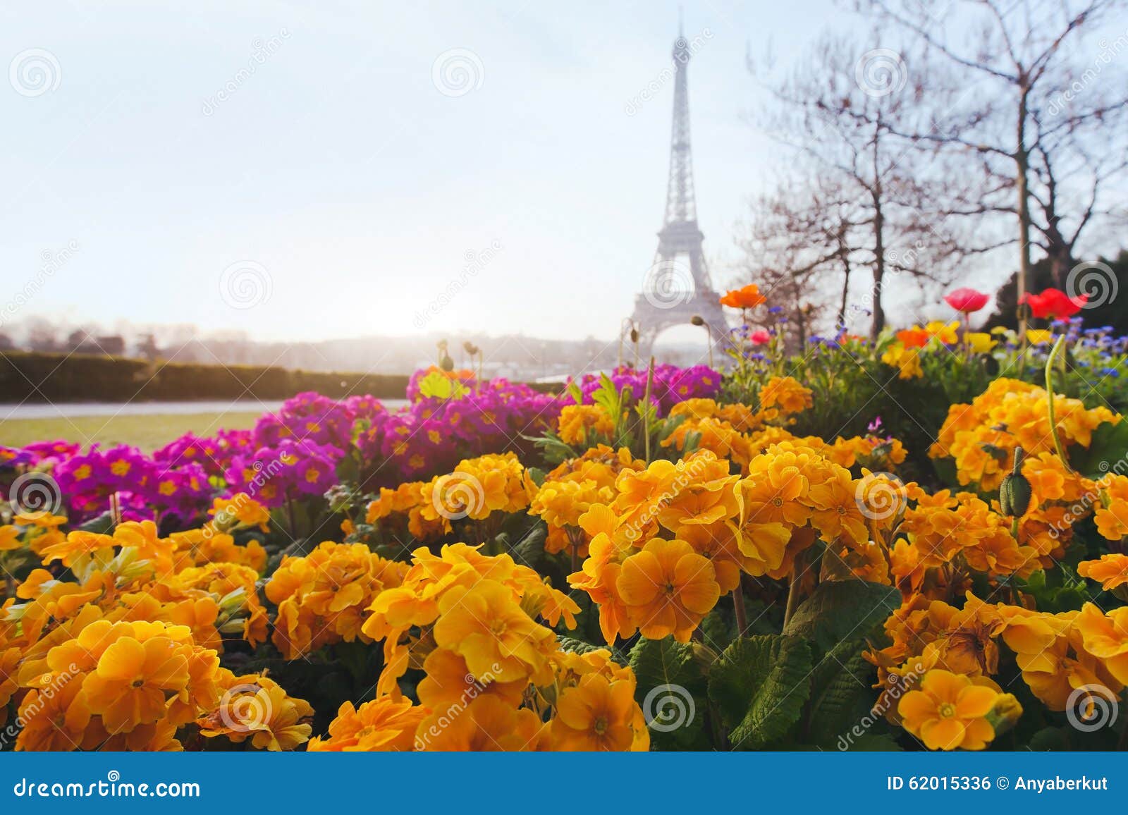Paris in spring stock photo. Image of paris, city, bright - 62015336