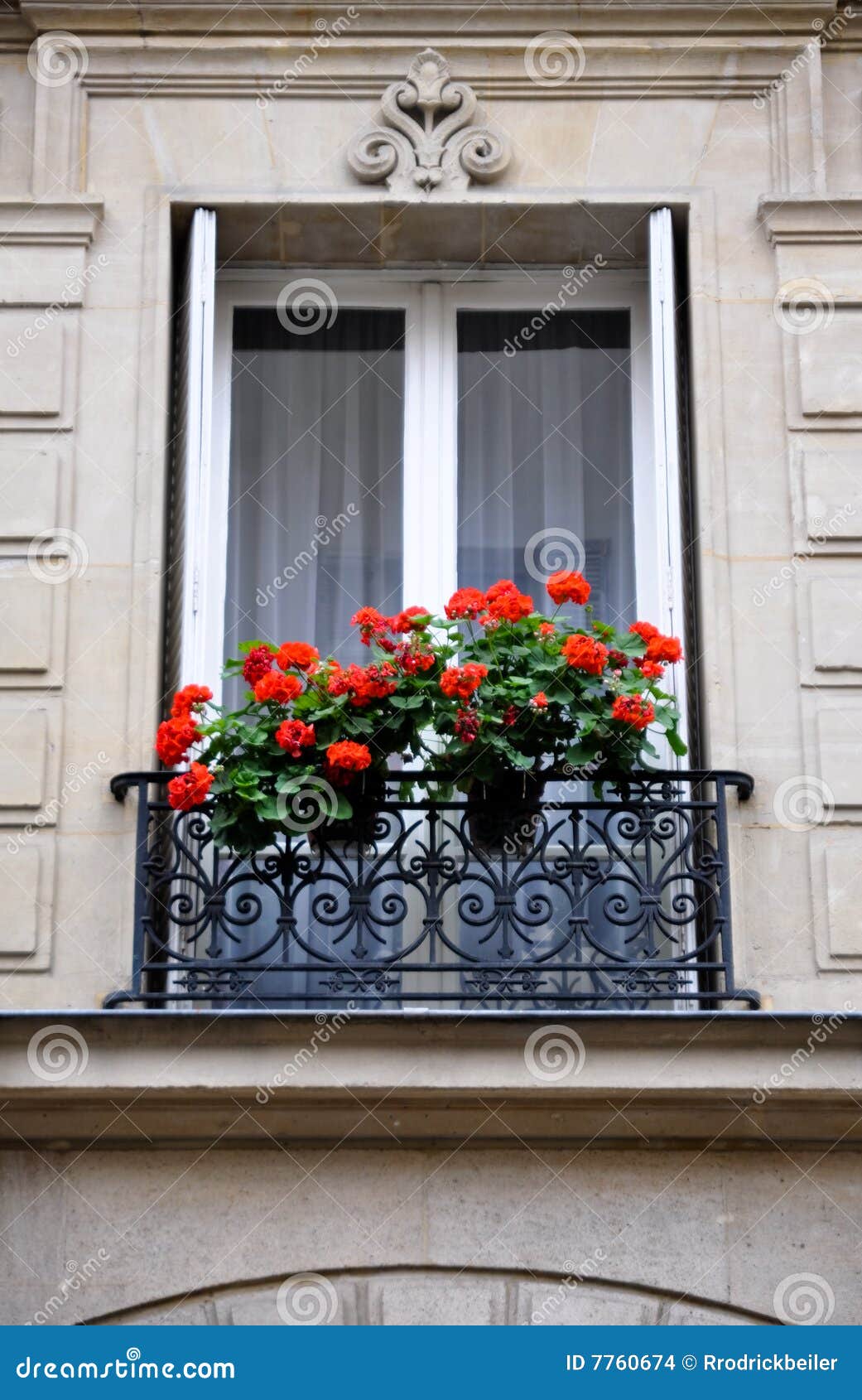 Paris Window with Geranium Flowers Stock Photo - Image of france, gray ...