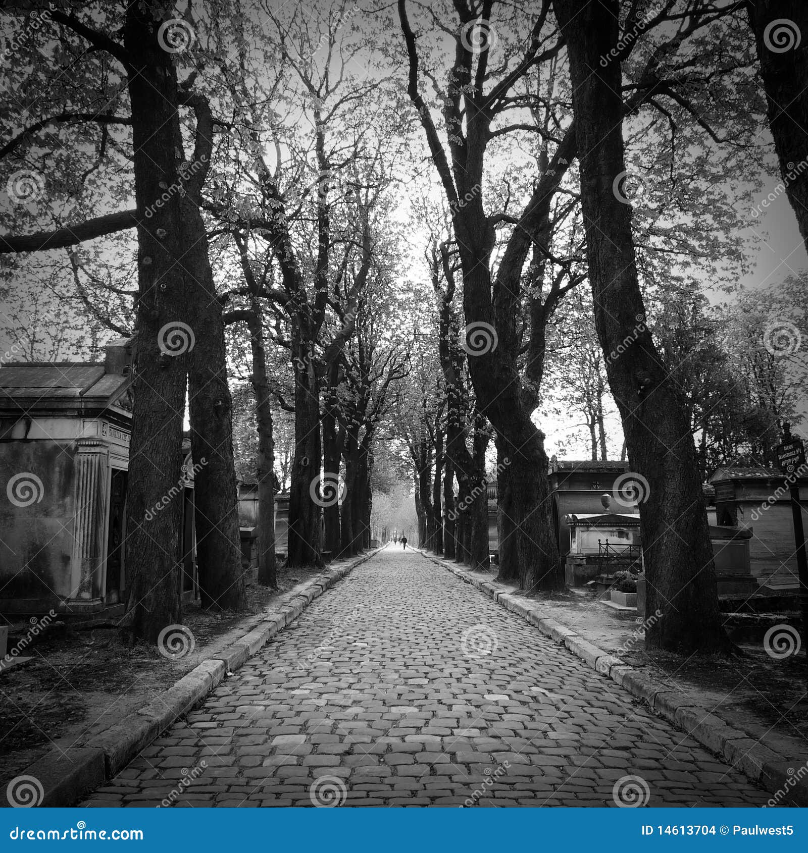Parisien walkway stock photo. Image of lined, cobblestones - 14613704