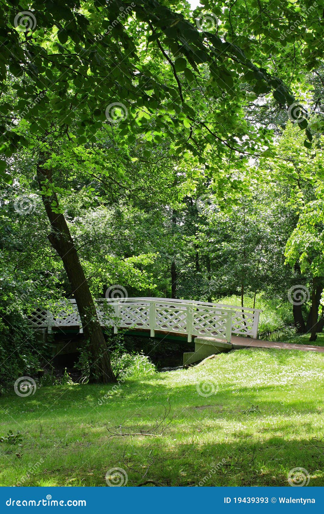 Park stock image. Image of natural, color, park, nice - 19439393