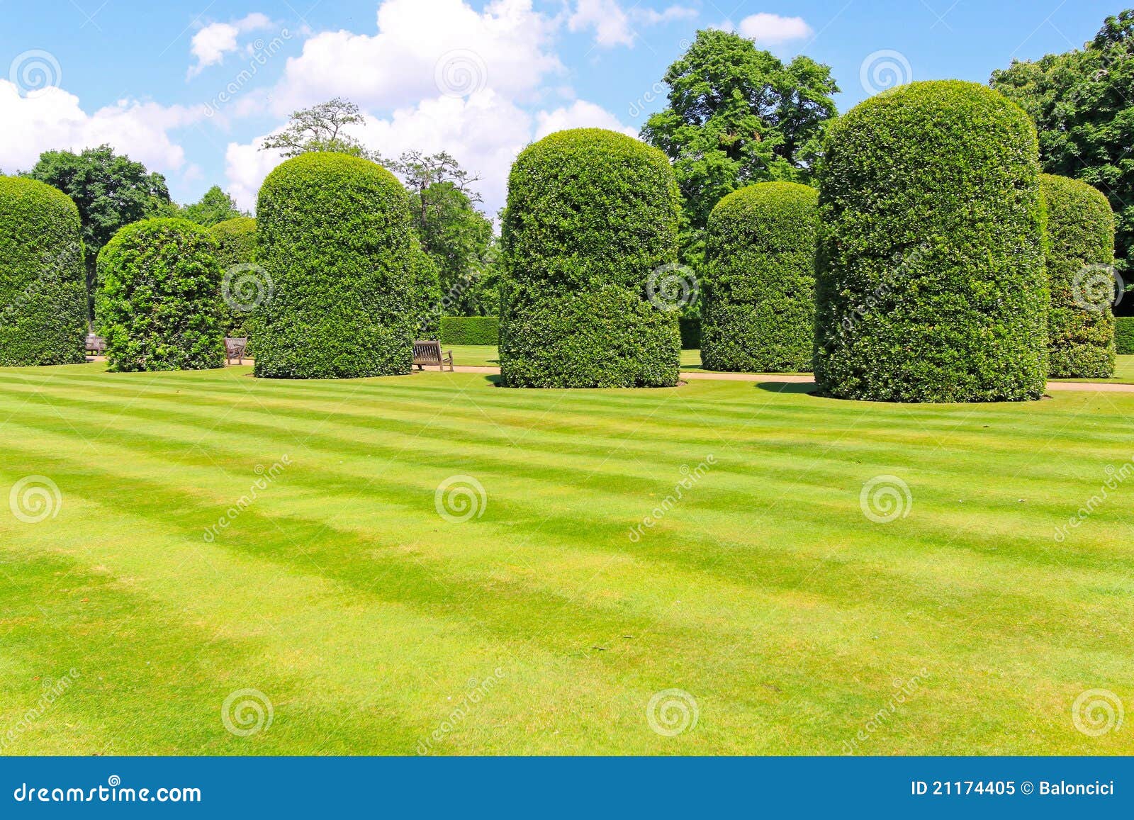 Park stock image. Image of lawn, field, outdoor, nature - 21174405