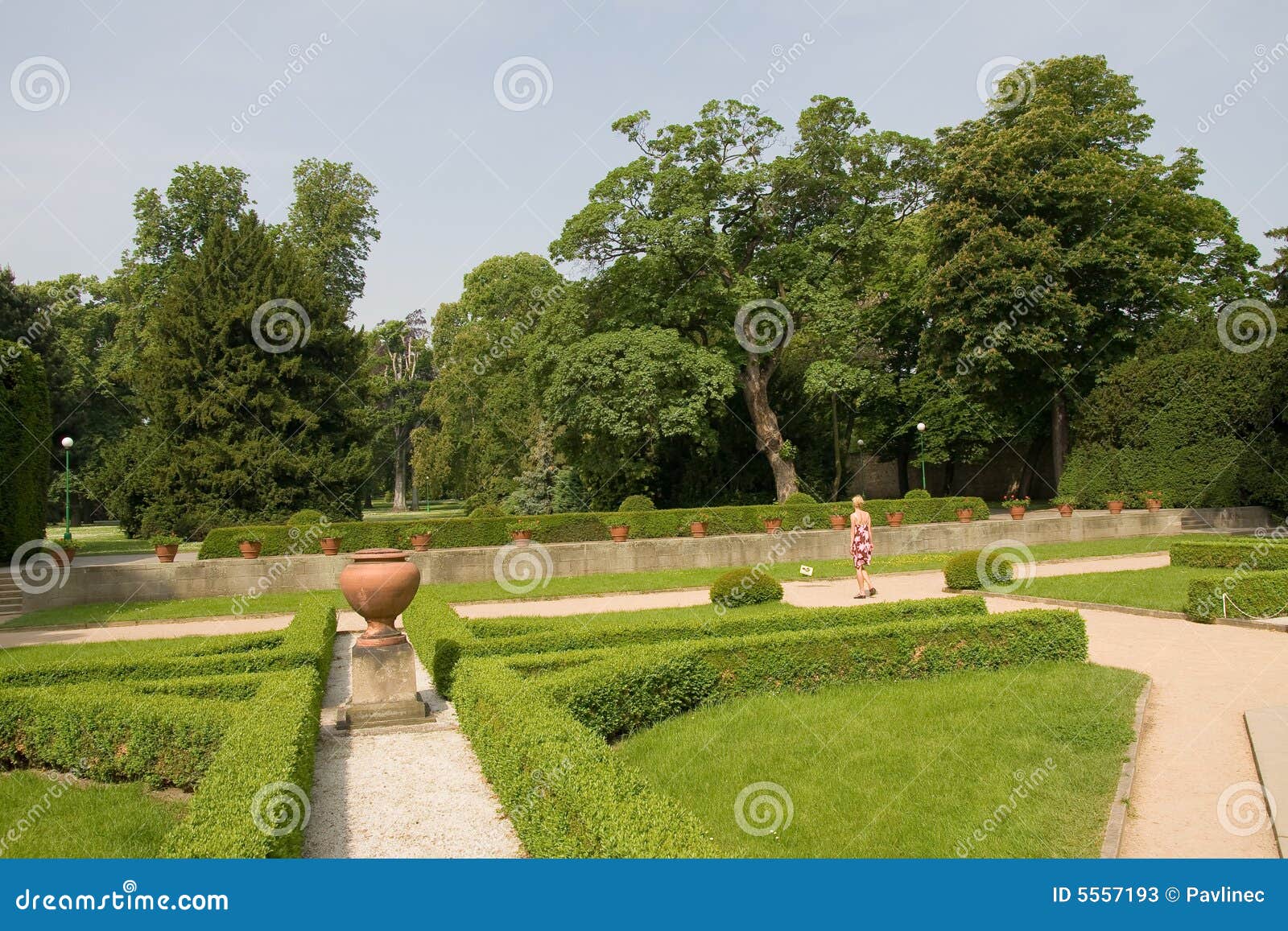 Park stock image. Image of landscape, green, park, perspective - 5557193