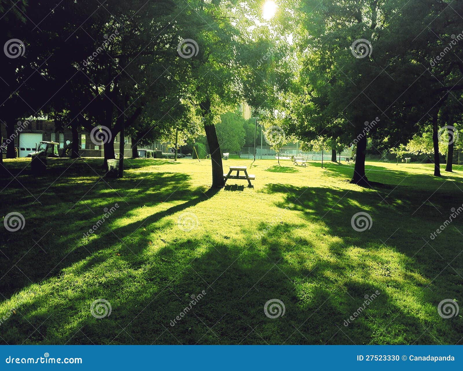 Park in the afternoon stock photo. Image of woods, bench - 27523330