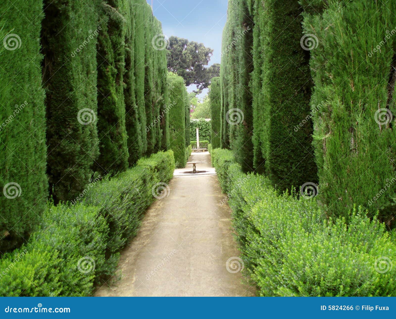 Park in Alhambra stock photo. Image of tourism, ancient - 5824266