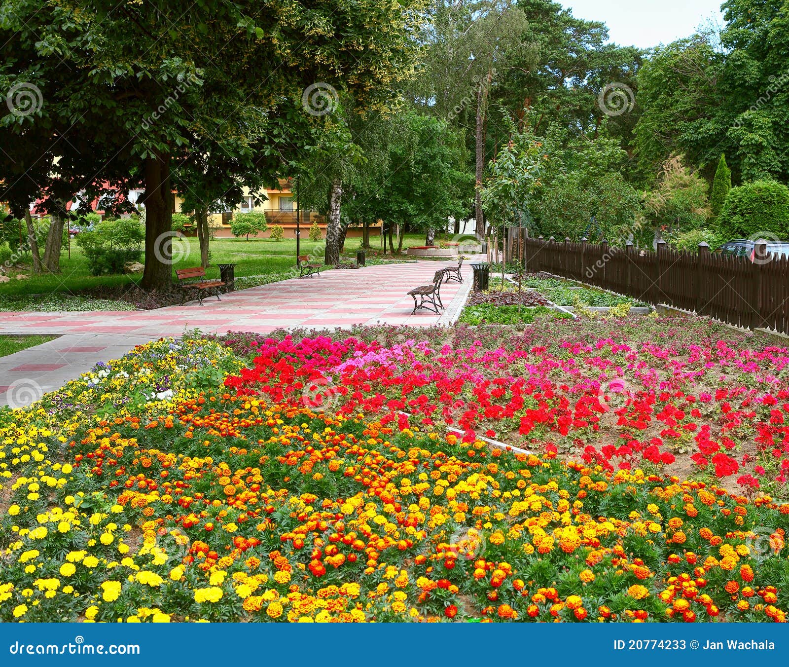 Park alley stock image. Image of morning, green, flower - 20774233