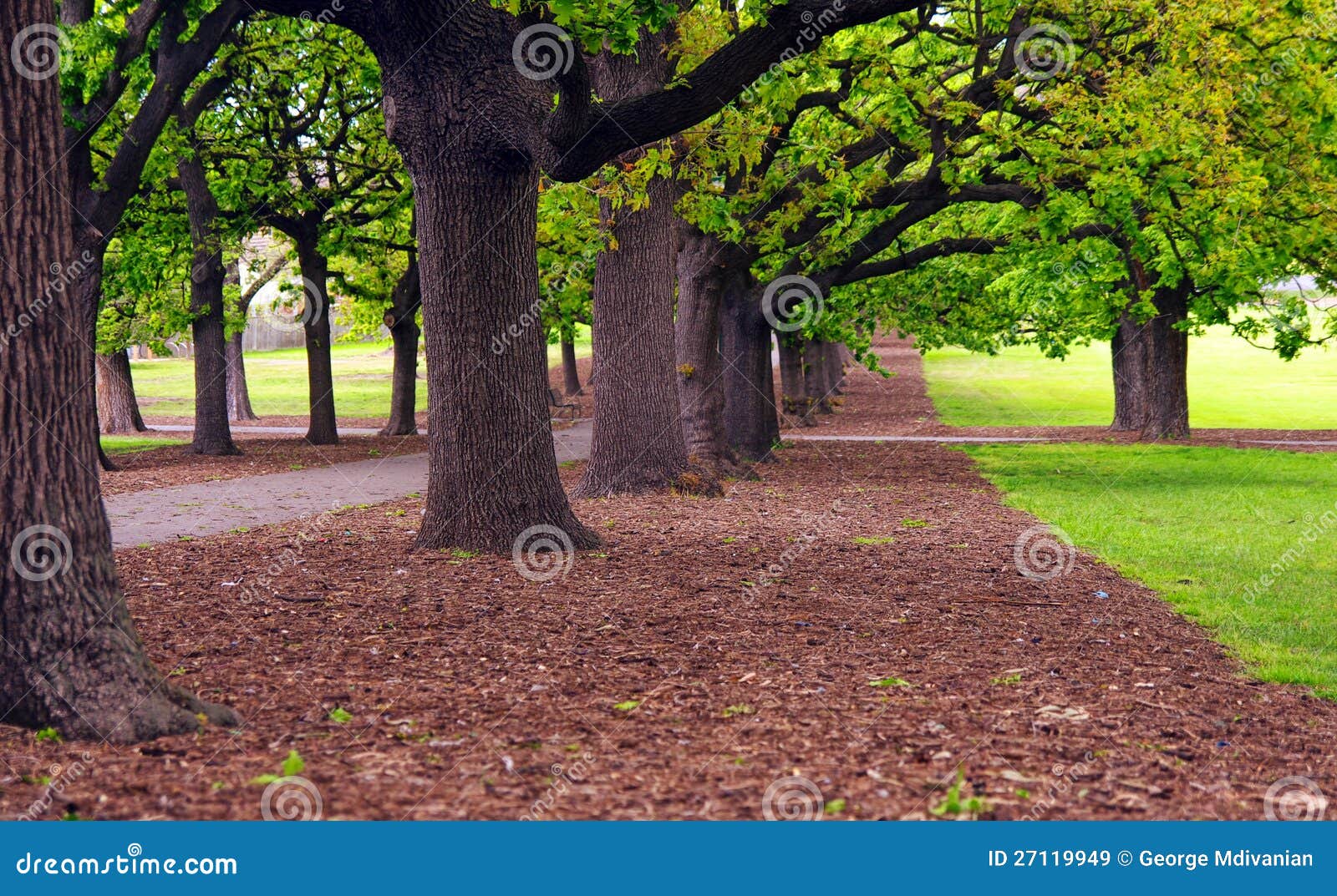 Park alley stock image. Image of grass, autumn, green - 27119949