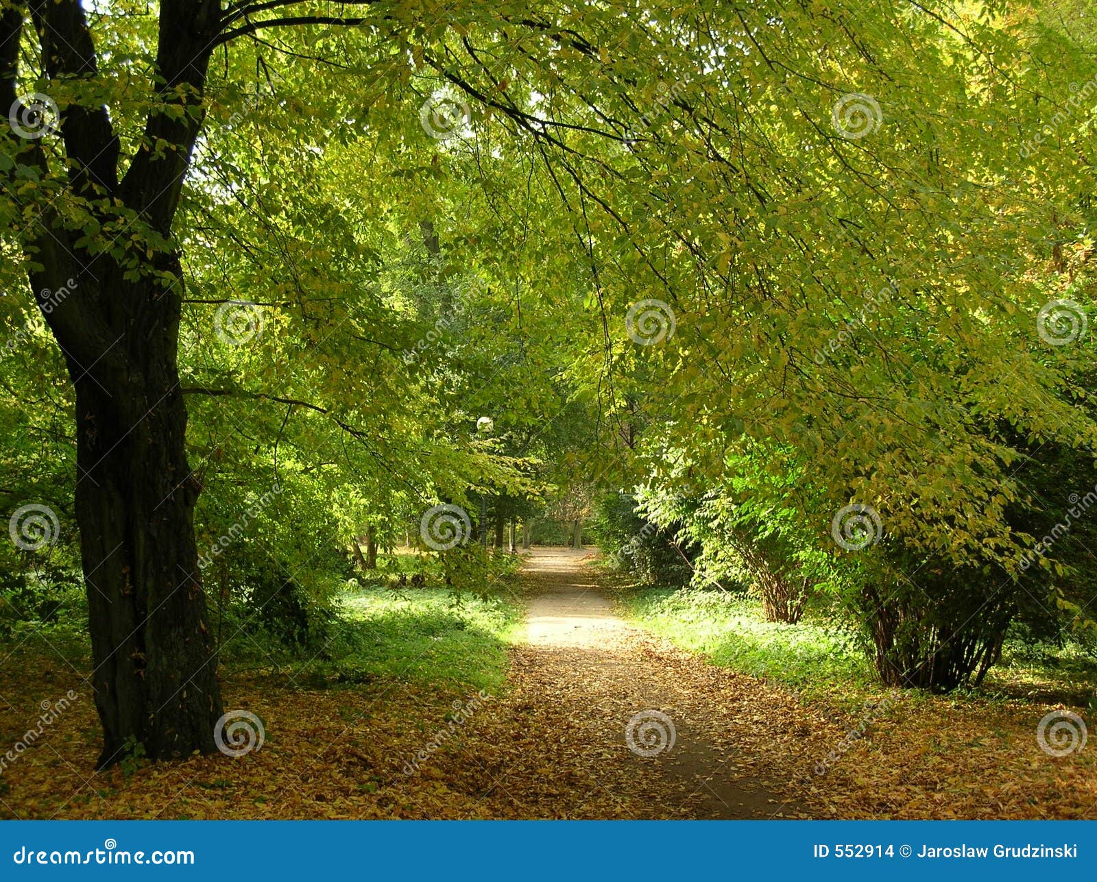 Park alley stock photo. Image of autumn, holiday, landscape - 552914
