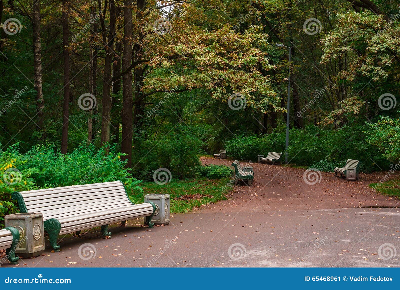 Park alley with benches editorial photo. Image of defoliation - 65468961