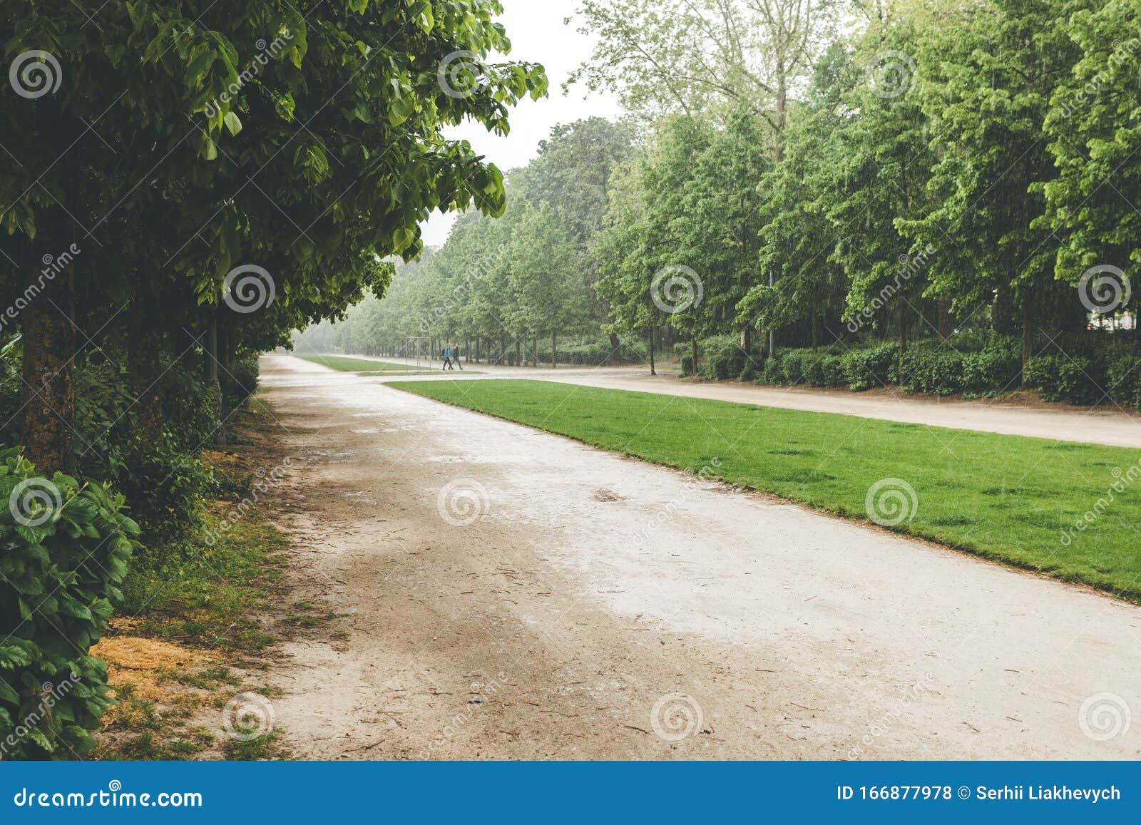 Park Alley during Heavy Rain Stock Photo - Image of street, beautiful ...