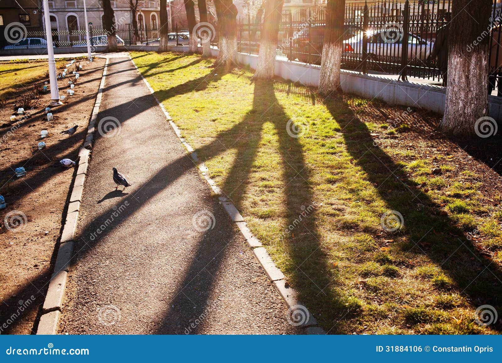 Park alley stock photo. Image of summer, walk, alley - 31884106