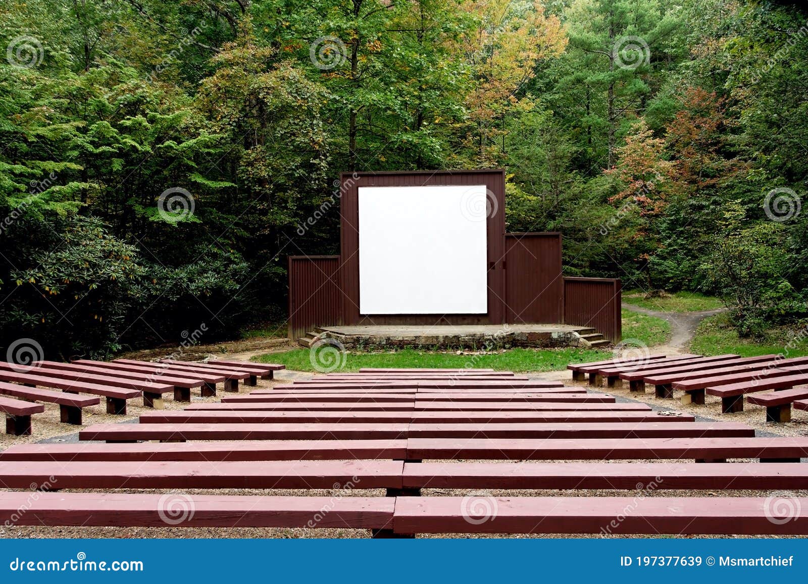 Park Amphitheater in Forest Setting Stock Image - Image of park ...