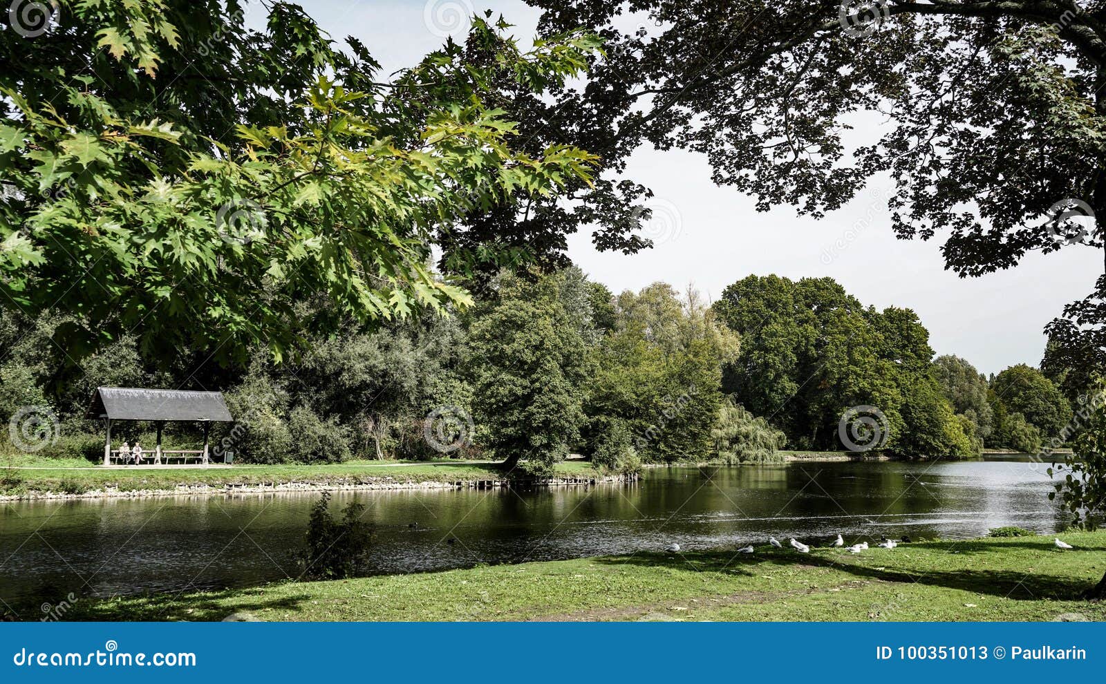 A park in Antwerp editorial stock photo. Image of lake - 100351013