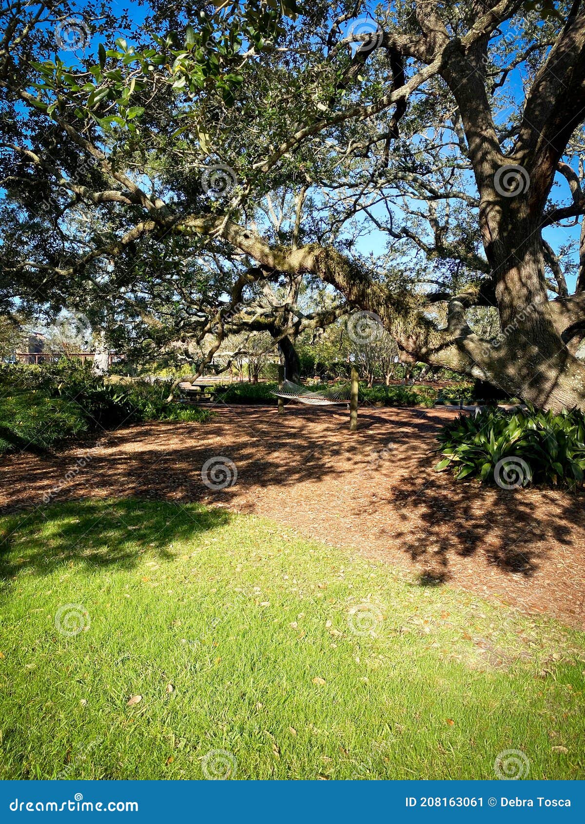 Hamic Stock Photos - Free & Royalty-Free Stock Photos from Dreamstime